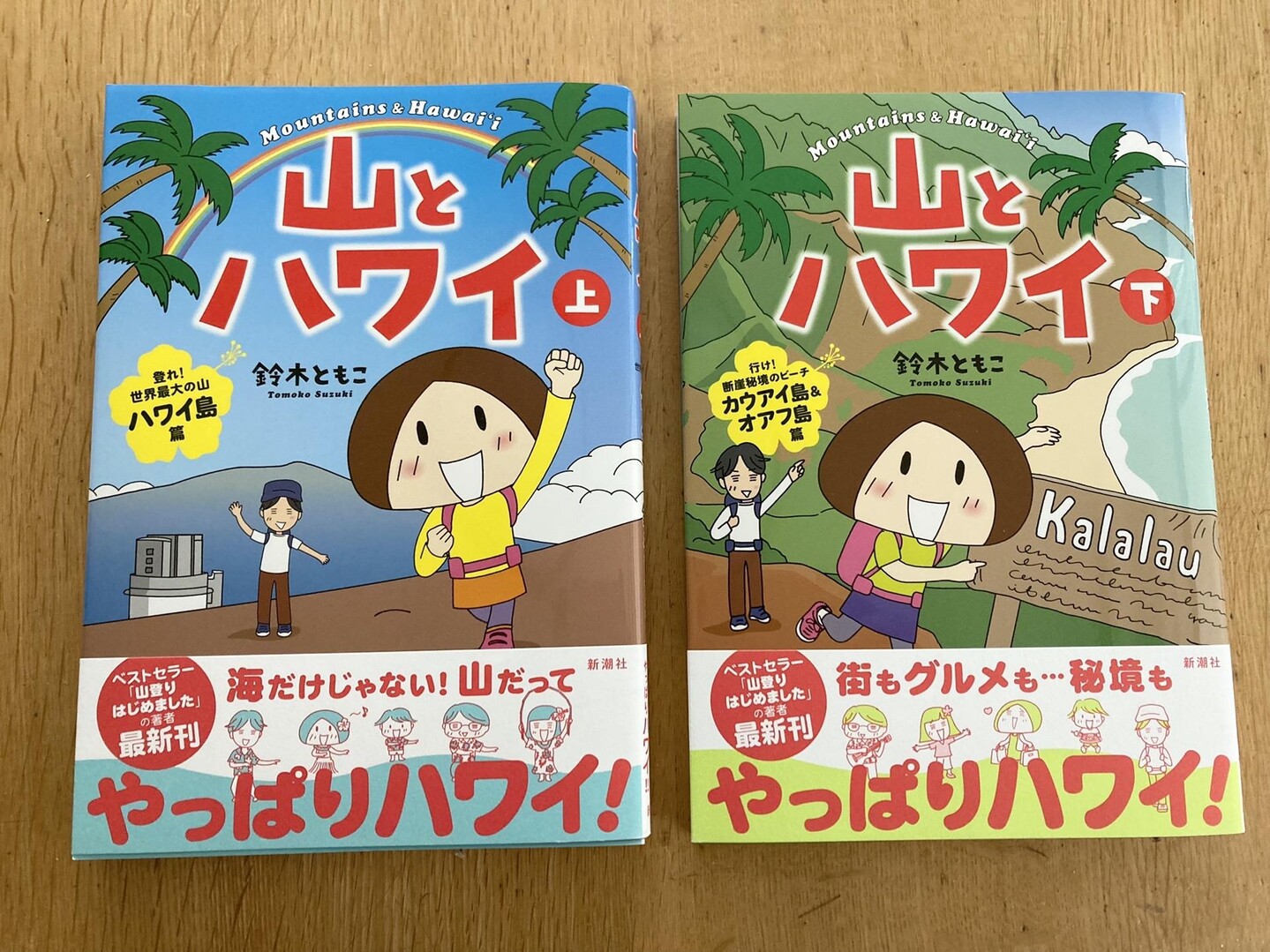鈴木ともこさんの新刊コミックが出ていたの... / renaさんのモーメント | YAMAP / ヤマップ