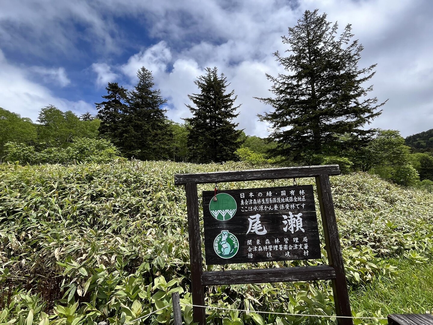 尾瀬沼-2023-06-24 / ikuさんの尾瀬・燧ヶ岳の活動データ | YAMAP / ヤマップ