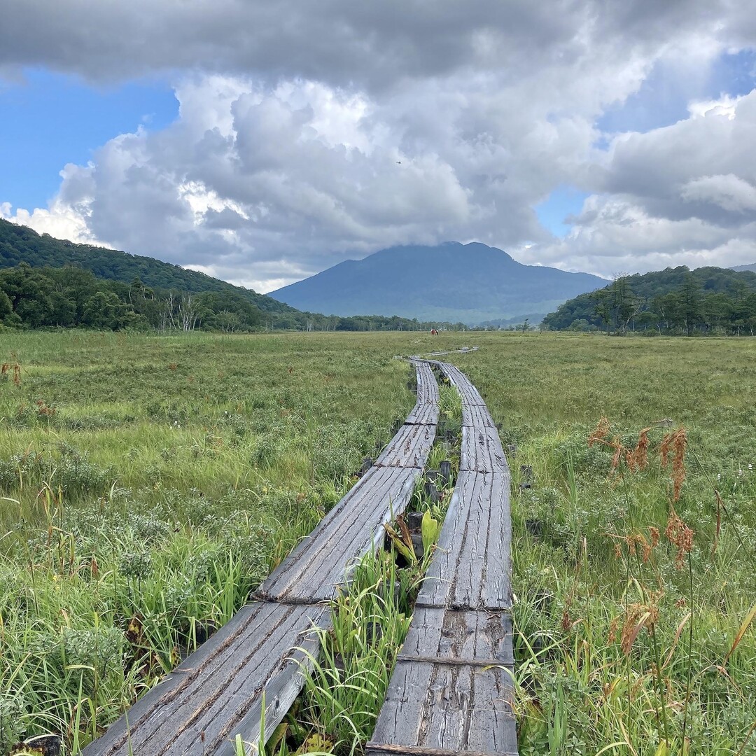 【1日目】尾瀬テント泊デビュー☔️⚡️ / chaさんの尾瀬・燧ヶ岳の活動データ | YAMAP / ヤマップ