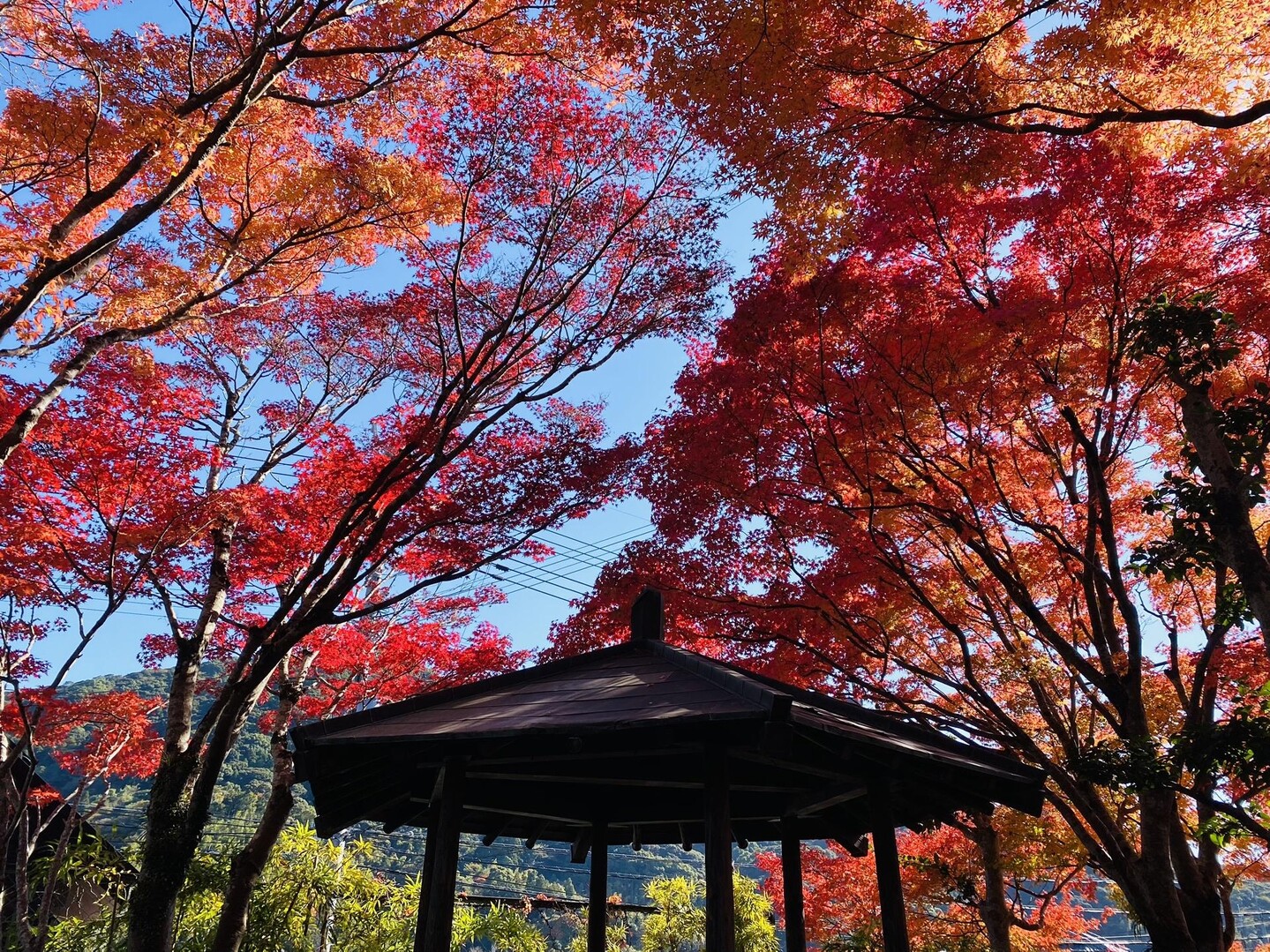 迎仙閣🍁お見事です / SADAさんの虚空蔵山・鎌倉山・普賢岳の活動データ | YAMAP / ヤマップ