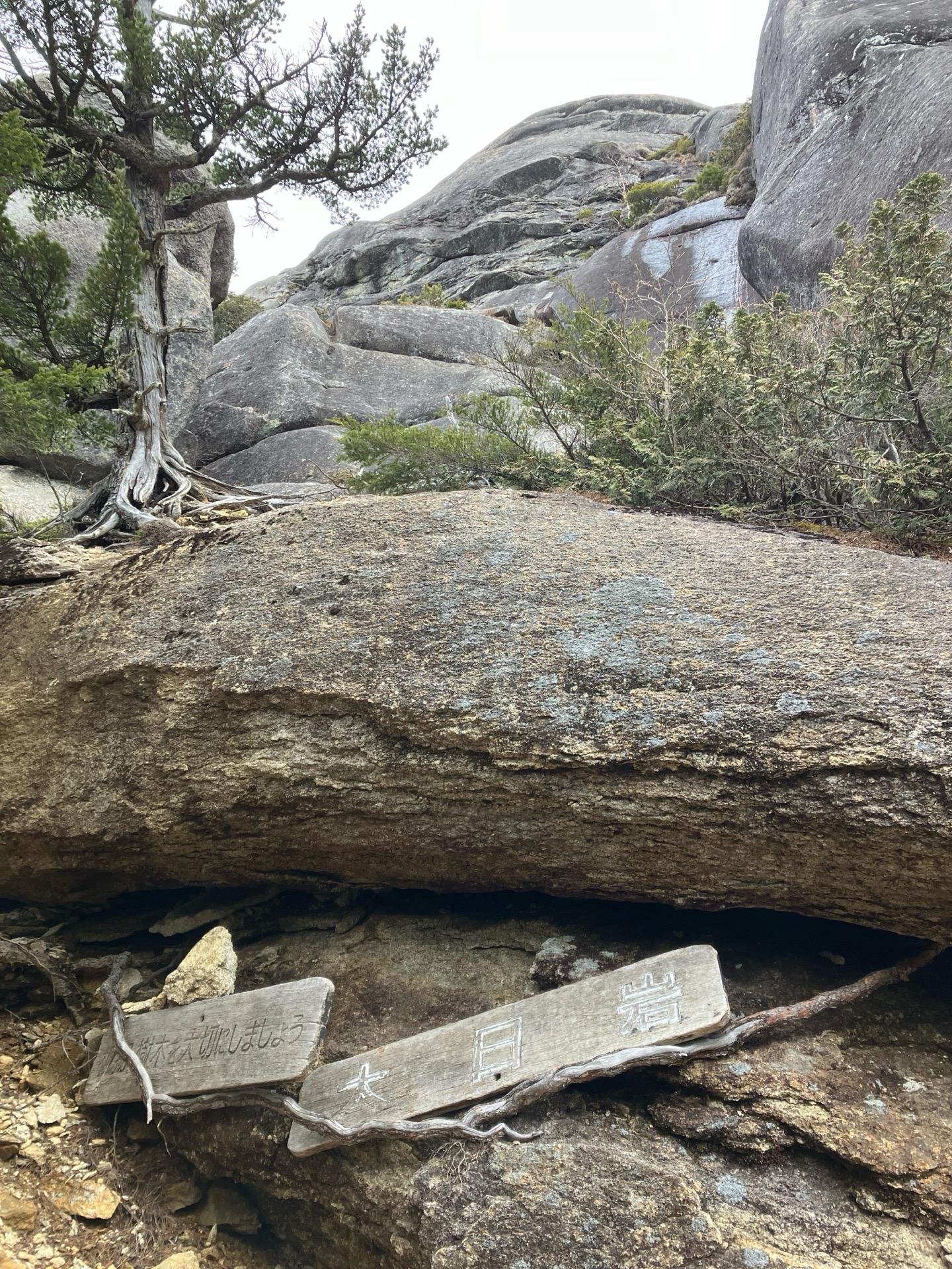 2025.4.20 金峰山の途中、大日... / kozoさんのモーメント | YAMAP / ヤマップ