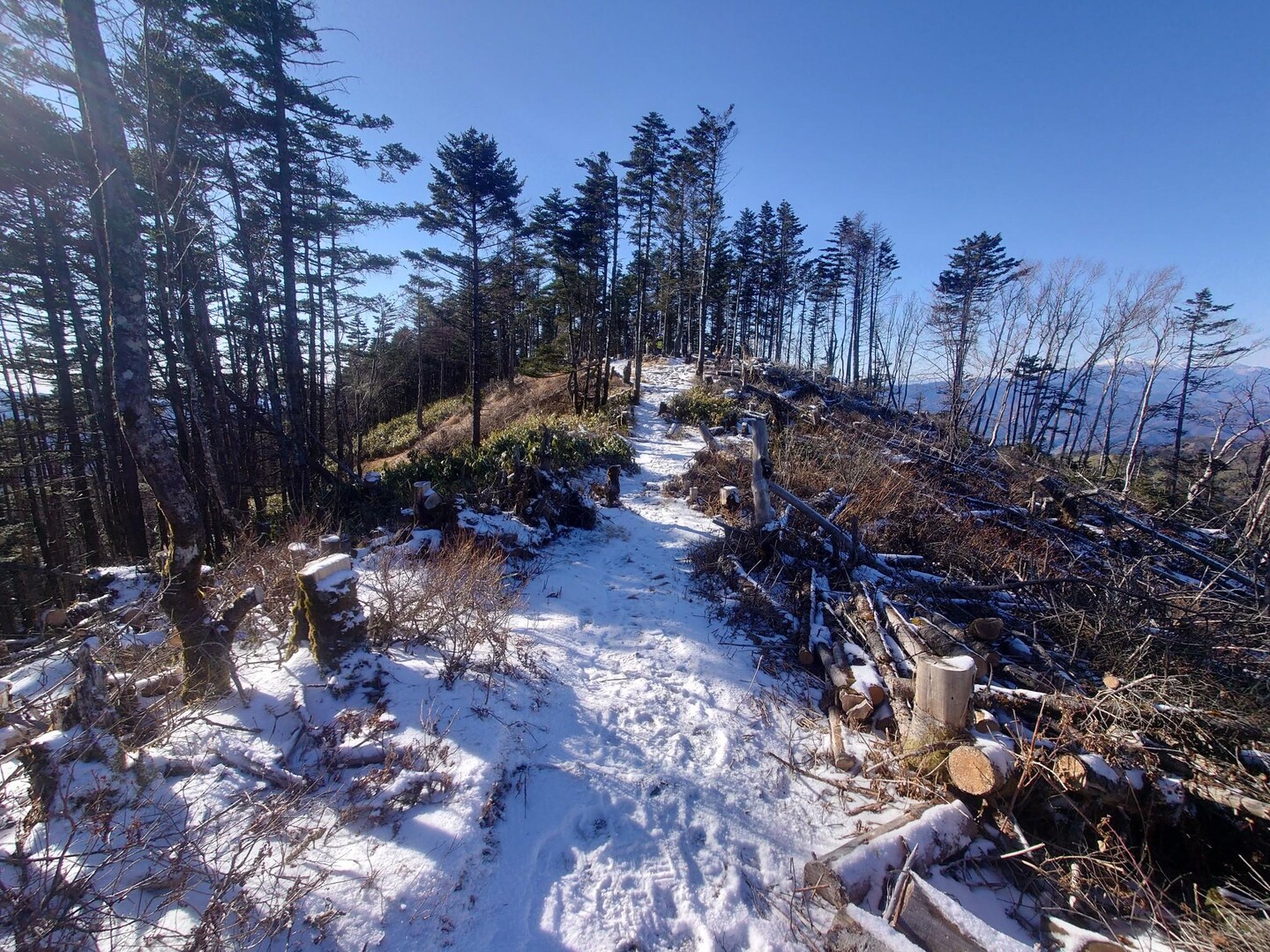 北沢山・コイノコ・経ヶ岳 / シロさんの経ヶ岳・坊主岳の活動データ | YAMAP / ヤマップ