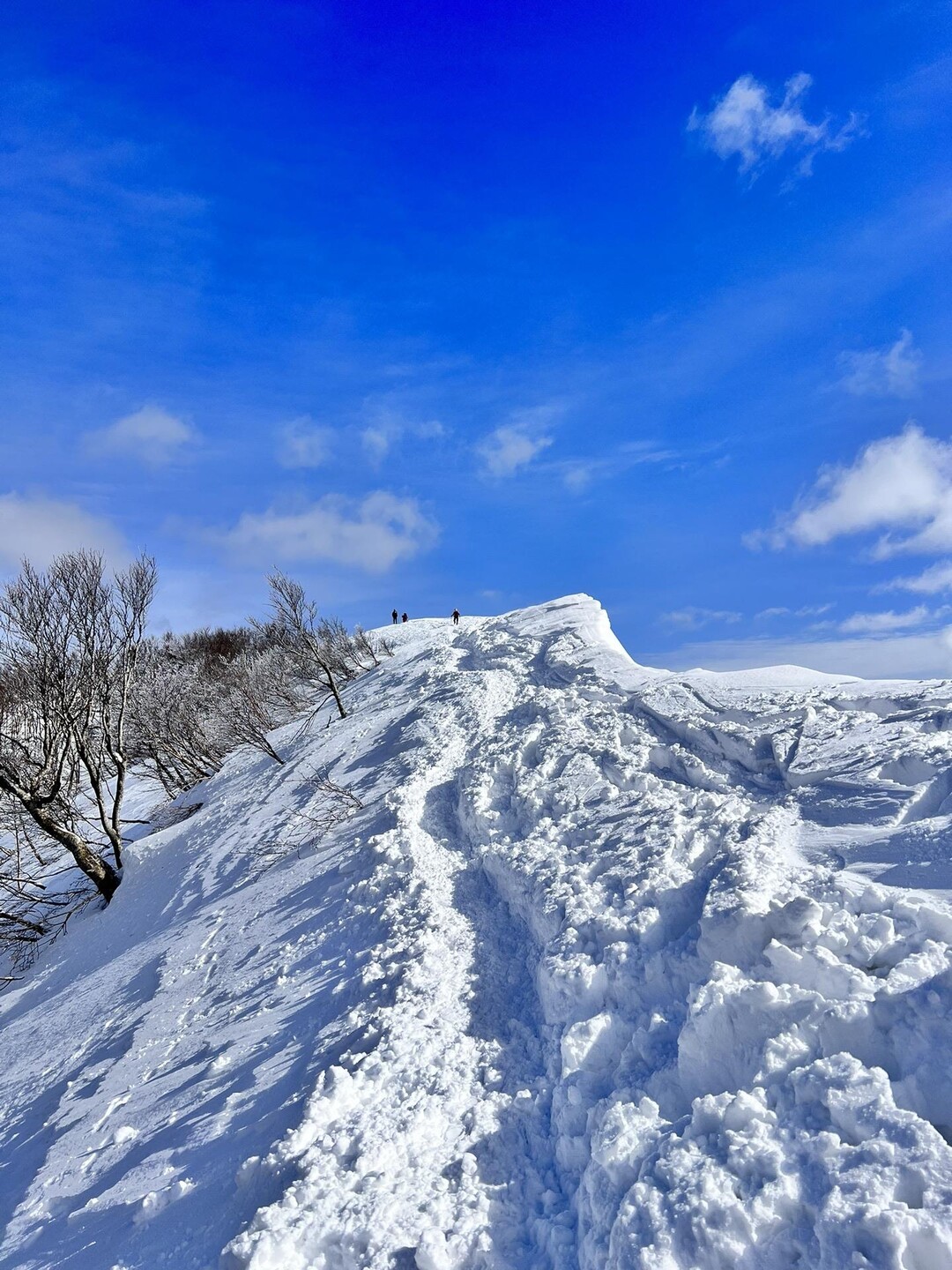 取立山 / ma_han_mさんの取立山の活動データ | YAMAP / ヤマップ