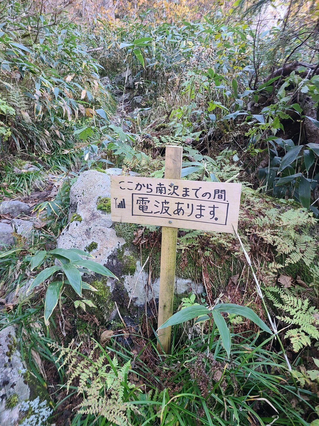 ORIさんの投稿したフィールドメモ | YAMAP / ヤマップ