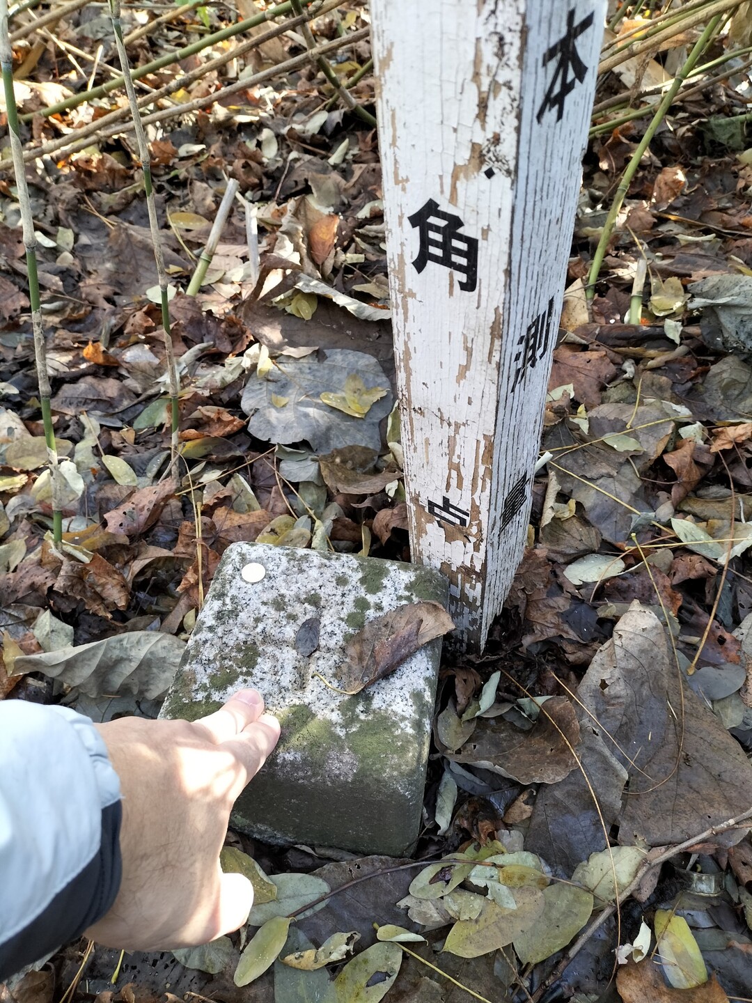 今日もまた山探し、モイレ山 / satoomoさんの積丹半島南部の活動データ | YAMAP / ヤマップ