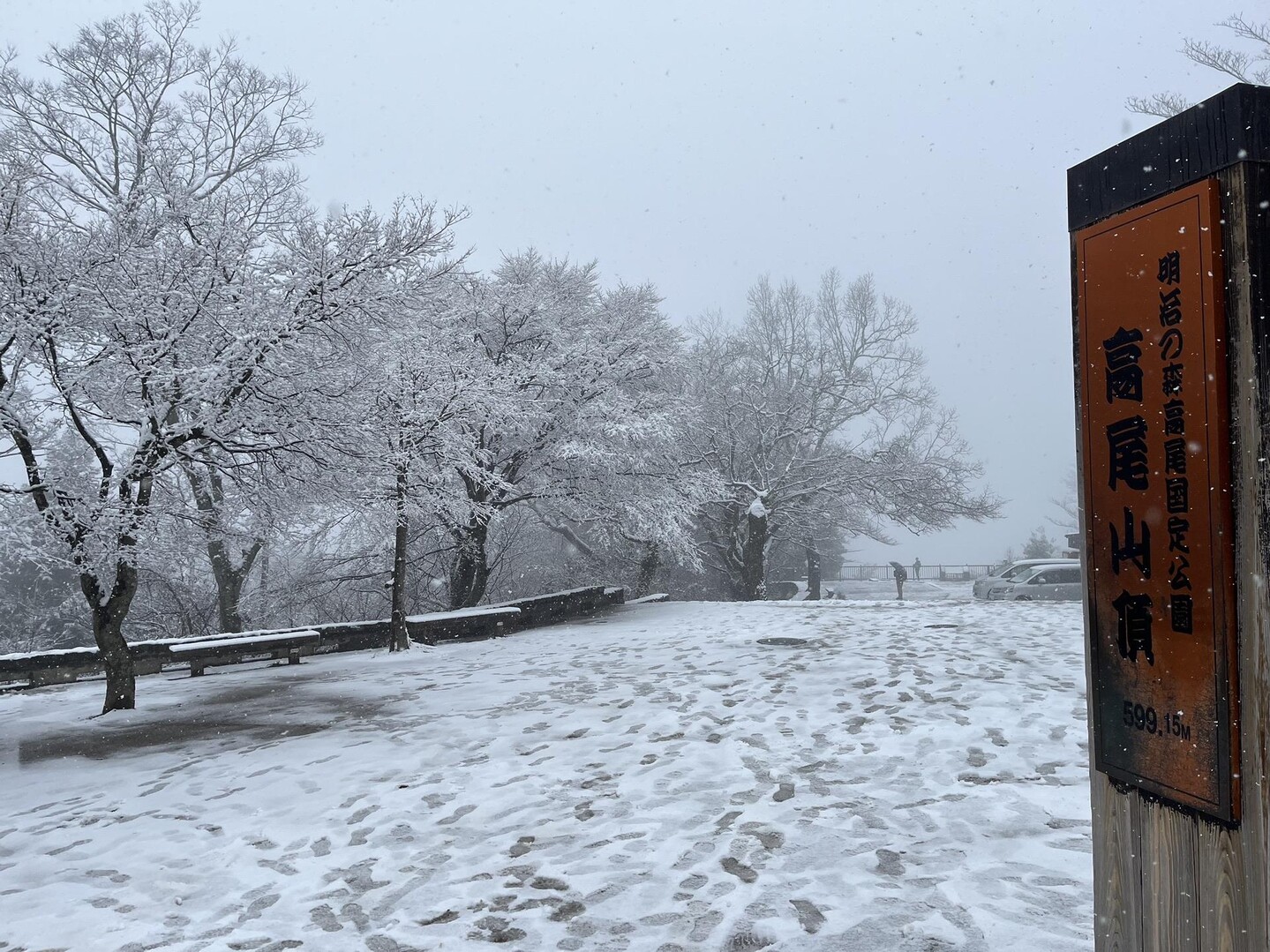 南高尾セブンサミッツ〜雪山〜 / Zakiさんの高尾山・陣馬山・景信山の活動データ | YAMAP / ヤマップ