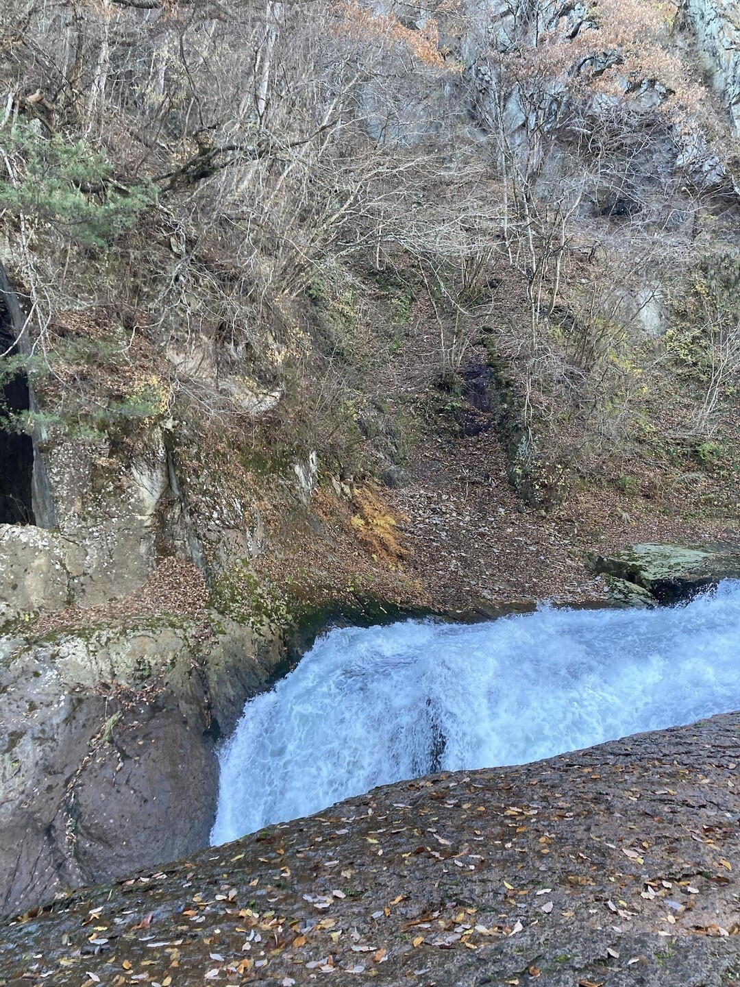 会社の同僚と日帰り旅行。 群馬の吹割の滝... / o-daijinさんのモーメント | YAMAP / ヤマップ