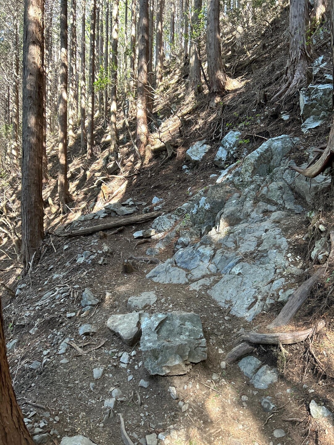 りゅうさんの投稿したフィールドメモ | YAMAP / ヤマップ