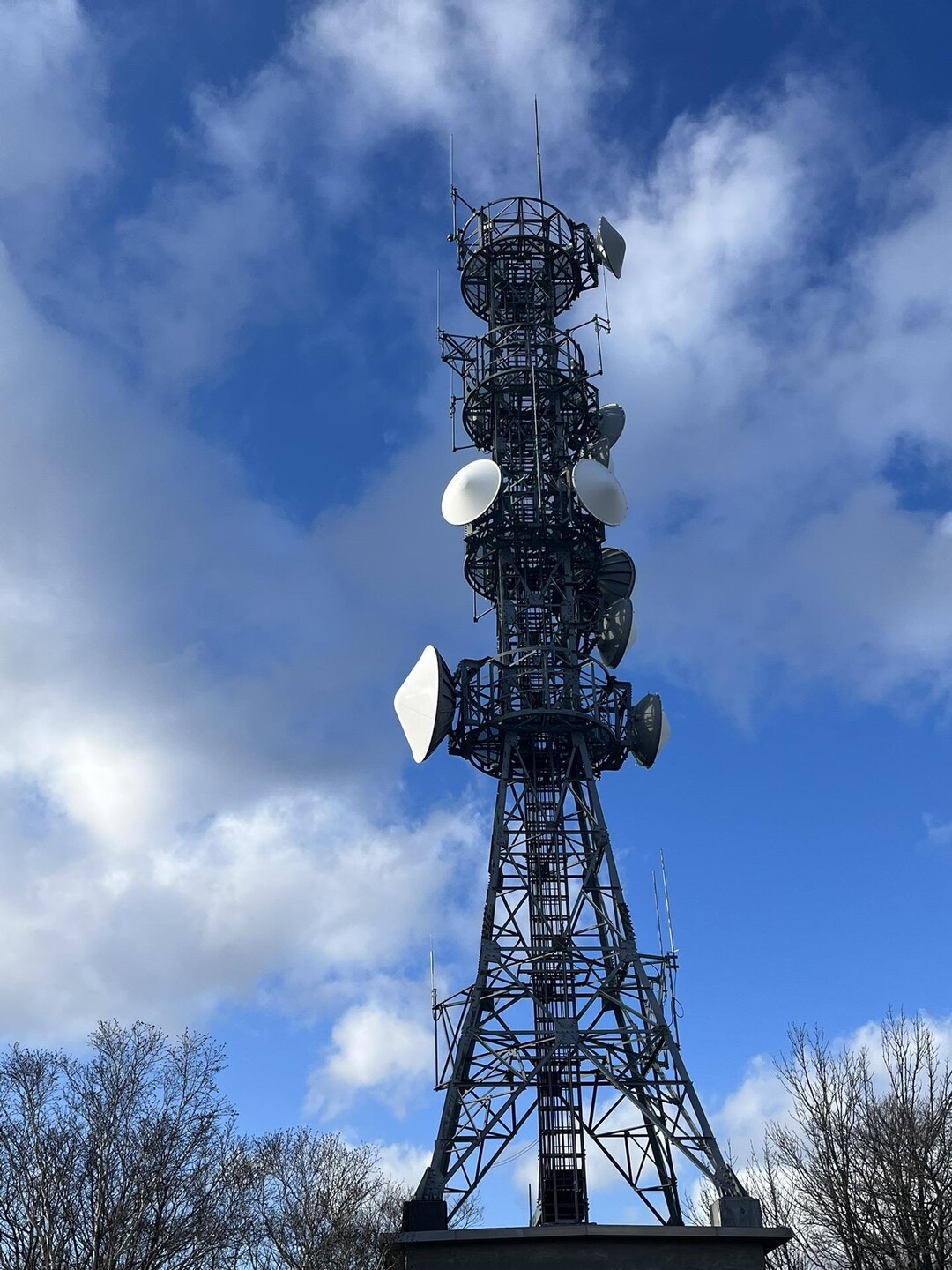 藻岩山2023.11.19旭山コース 晴れ☀️ / mappyさんの藻岩山の活動データ | YAMAP / ヤマップ