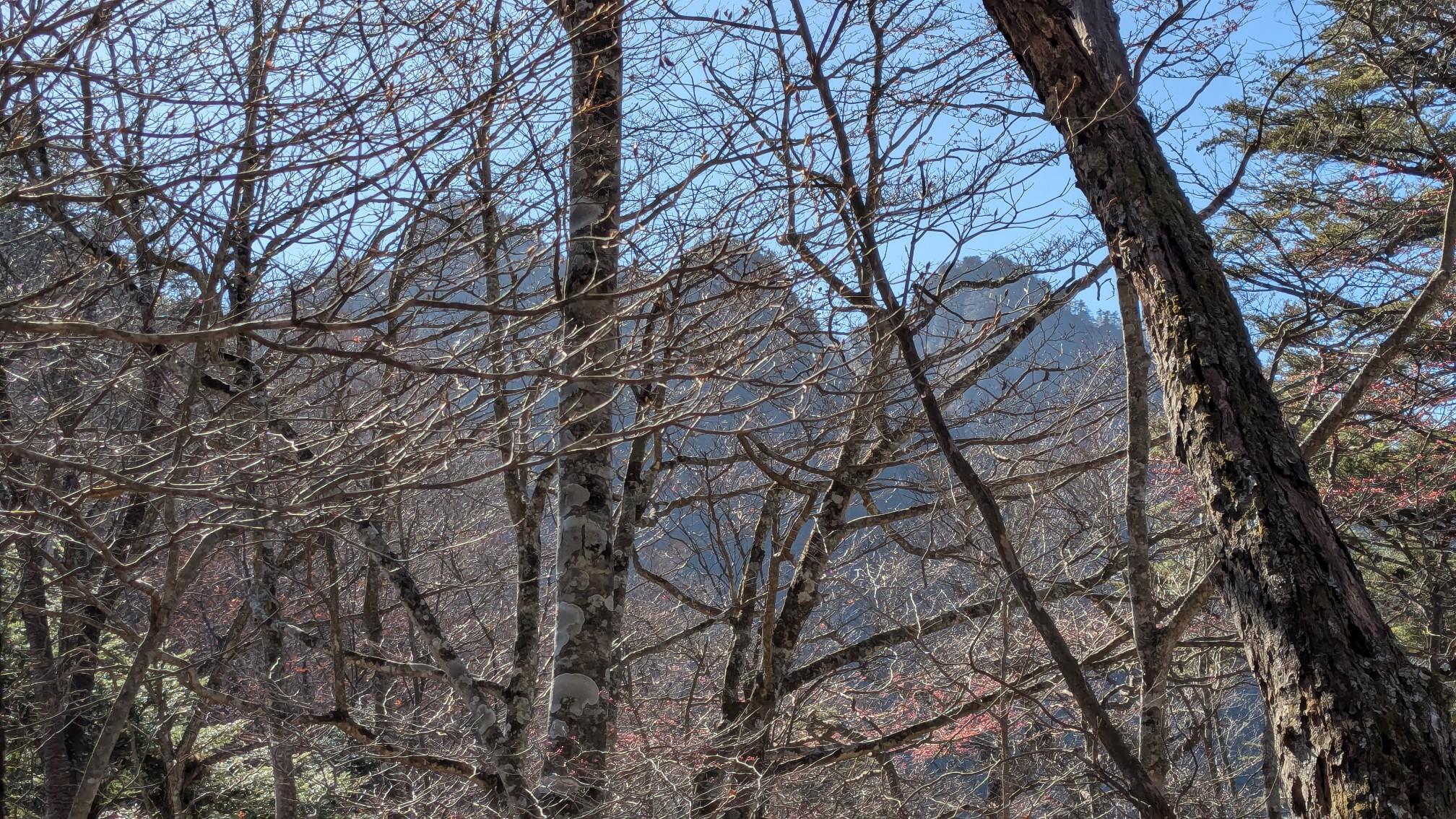 諏訪山、帳付山 ソロ縦s…周回！（関東百82、83） / kkr173さんの諏訪山の活動データ | YAMAP / ヤマップ