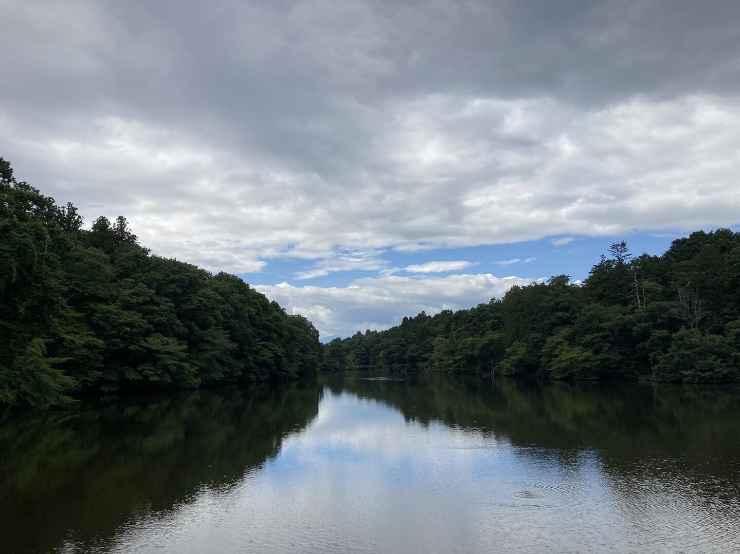 こんにちは^ ^ 今日は晴れていますが... / OBsunさんのモーメント | YAMAP / ヤマップ