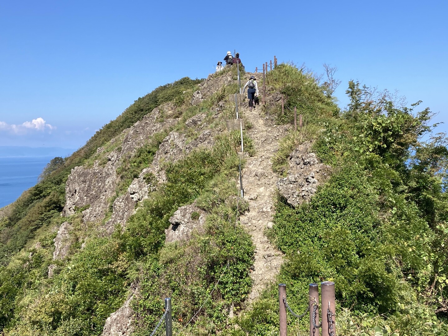 角田山（灯台から此の入へ） / hi-chanさんの角田山の活動データ | YAMAP / ヤマップ
