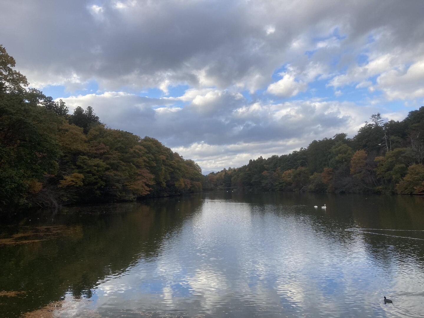 こんにちは^ ^ 今日は風は強かったで... / OBsunさんのモーメント | YAMAP / ヤマップ