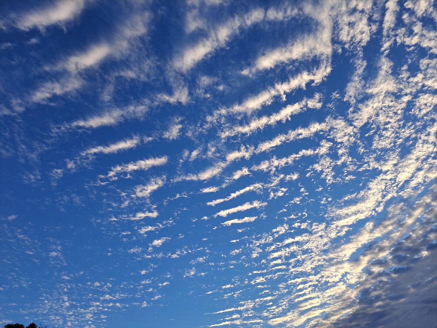 今朝の御来光福山No.150 / はるちゃんさんの福山・江田山・高鳥居山の活動データ | YAMAP / ヤマップ