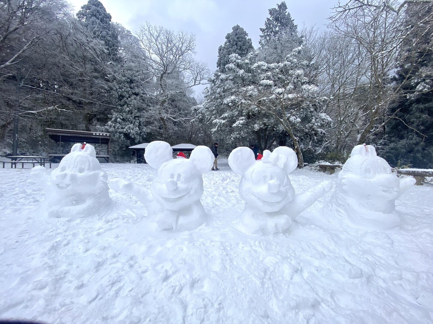 登り納めは金剛山50回目 👌 / maunaさんの金剛山・二上山・大和葛城山の活動データ | YAMAP / ヤマップ