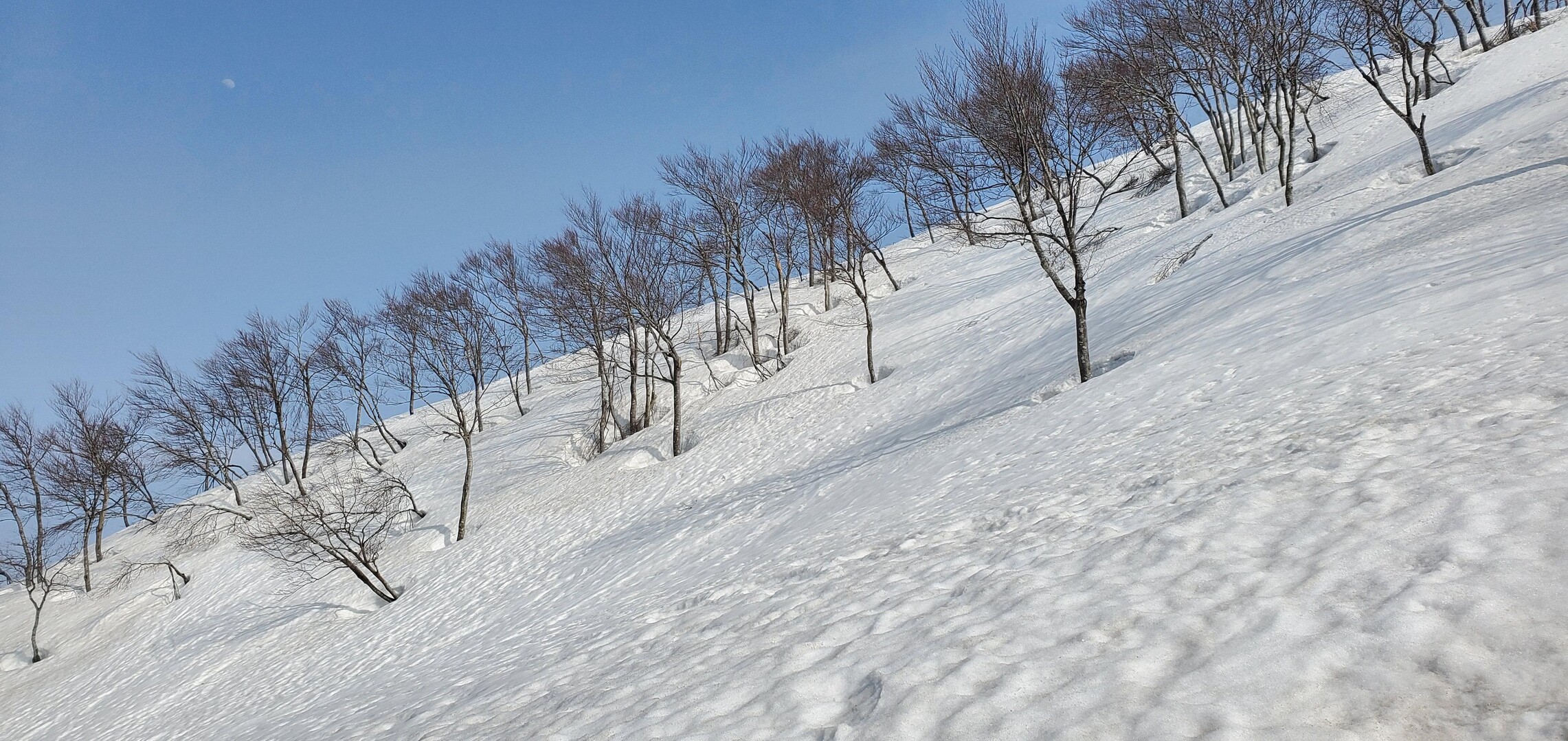 残雪の二王子岳 2023-03-31 / sakaさんの二王子岳の活動データ | YAMAP / ヤマップ