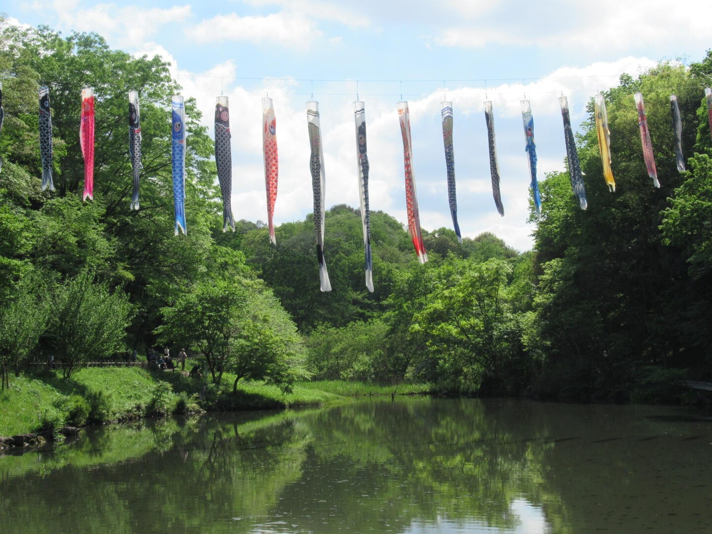 横浜市緑区県立四季の森公園 / ryuyuさんのウォーキングの活動データ | YAMAP / ヤマップ