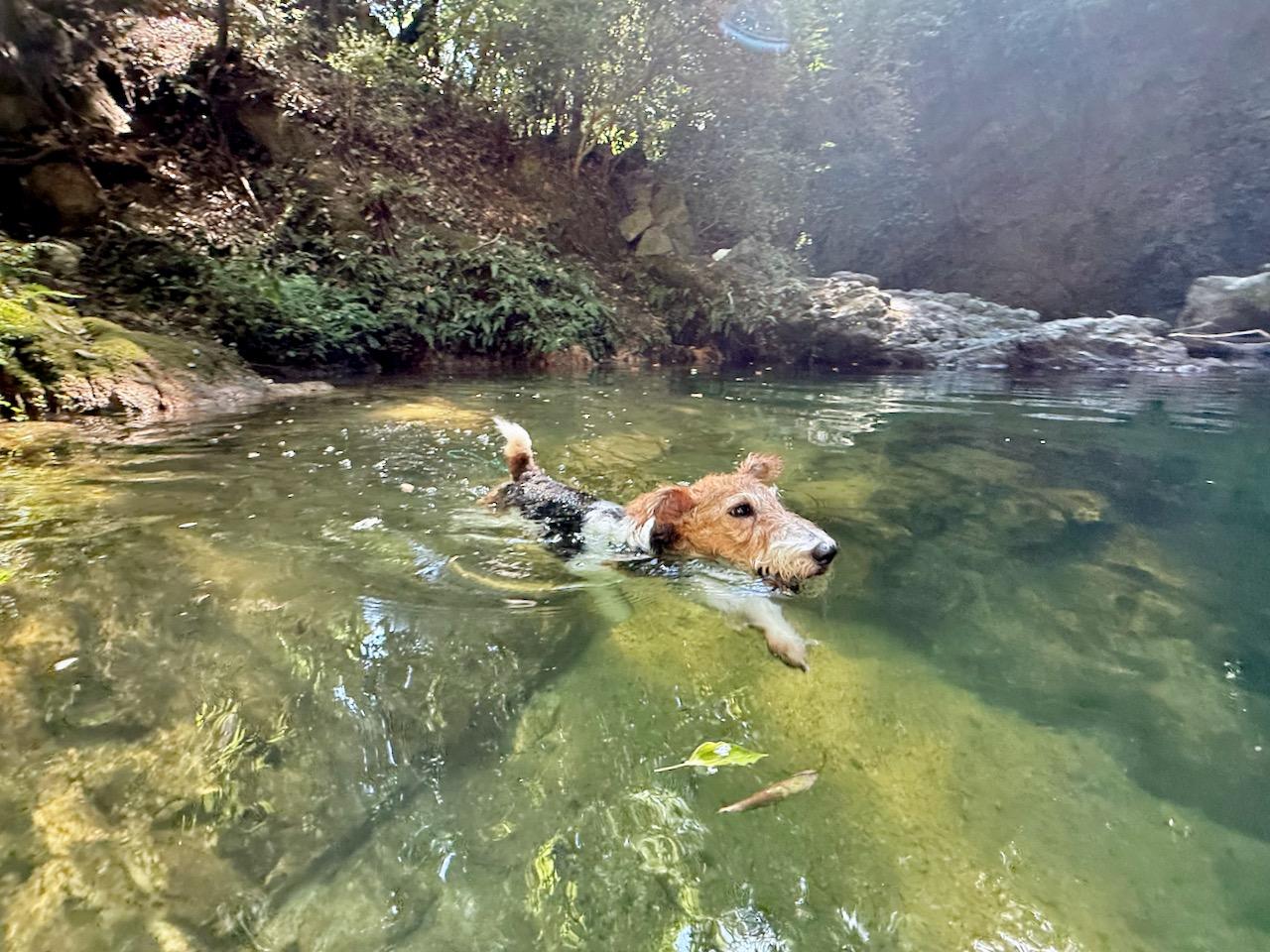 今日も暑い🥵 熱い時は💦水遊びだぁ~... / masa omoさんのモーメント | YAMAP / ヤマップ