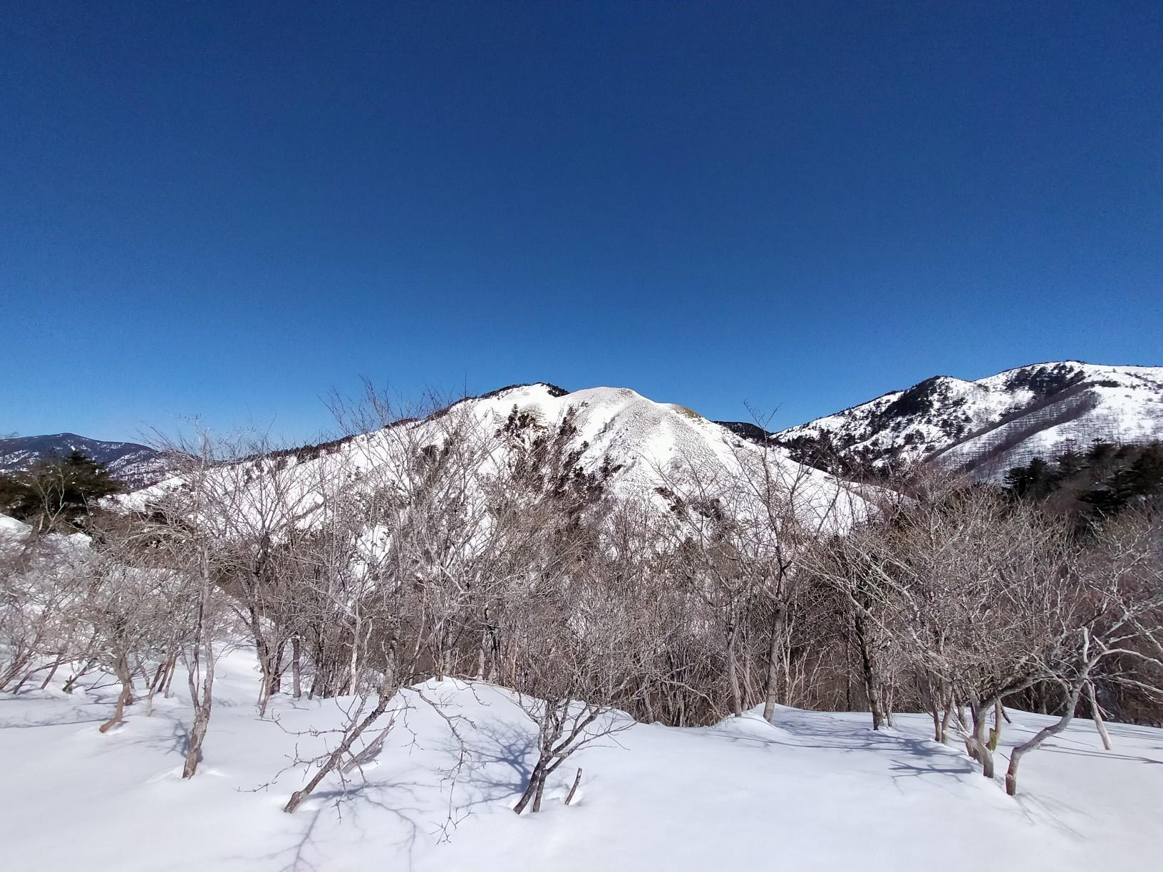 長者峰～高嶺～悪沢山 P1796と1886は行けず💦 / VN5さんの高嶺山・長者峰の活動データ | YAMAP / ヤマップ