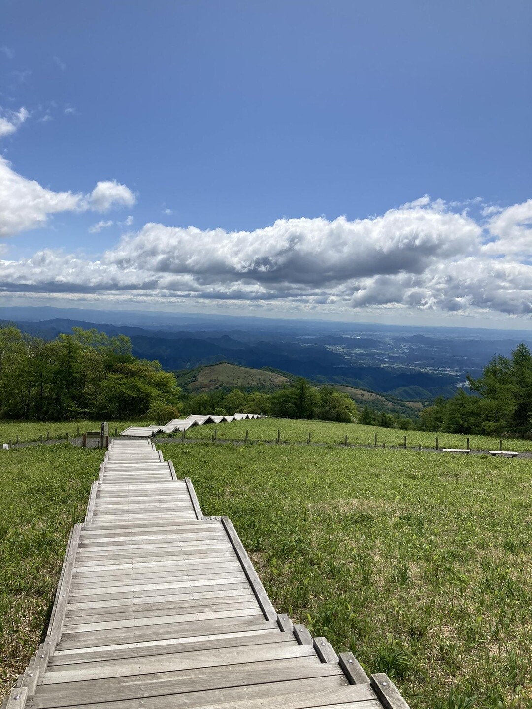小丸山・丸山・八平ヶ原 / mmさんのウォーキングの活動データ | YAMAP / ヤマップ