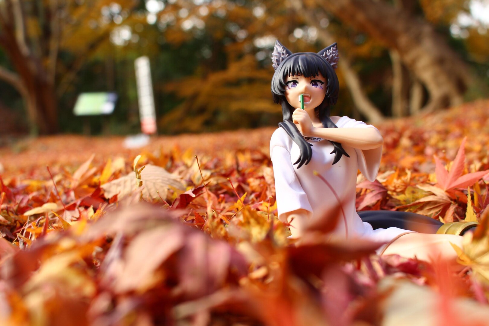 LAZY AUTUMN in KOBE【姫神Go!Go!な旅 1日目①】 / るぷるどぅさんの六甲山・長峰山・摩耶山の活動データ | YAMAP / ヤマップ