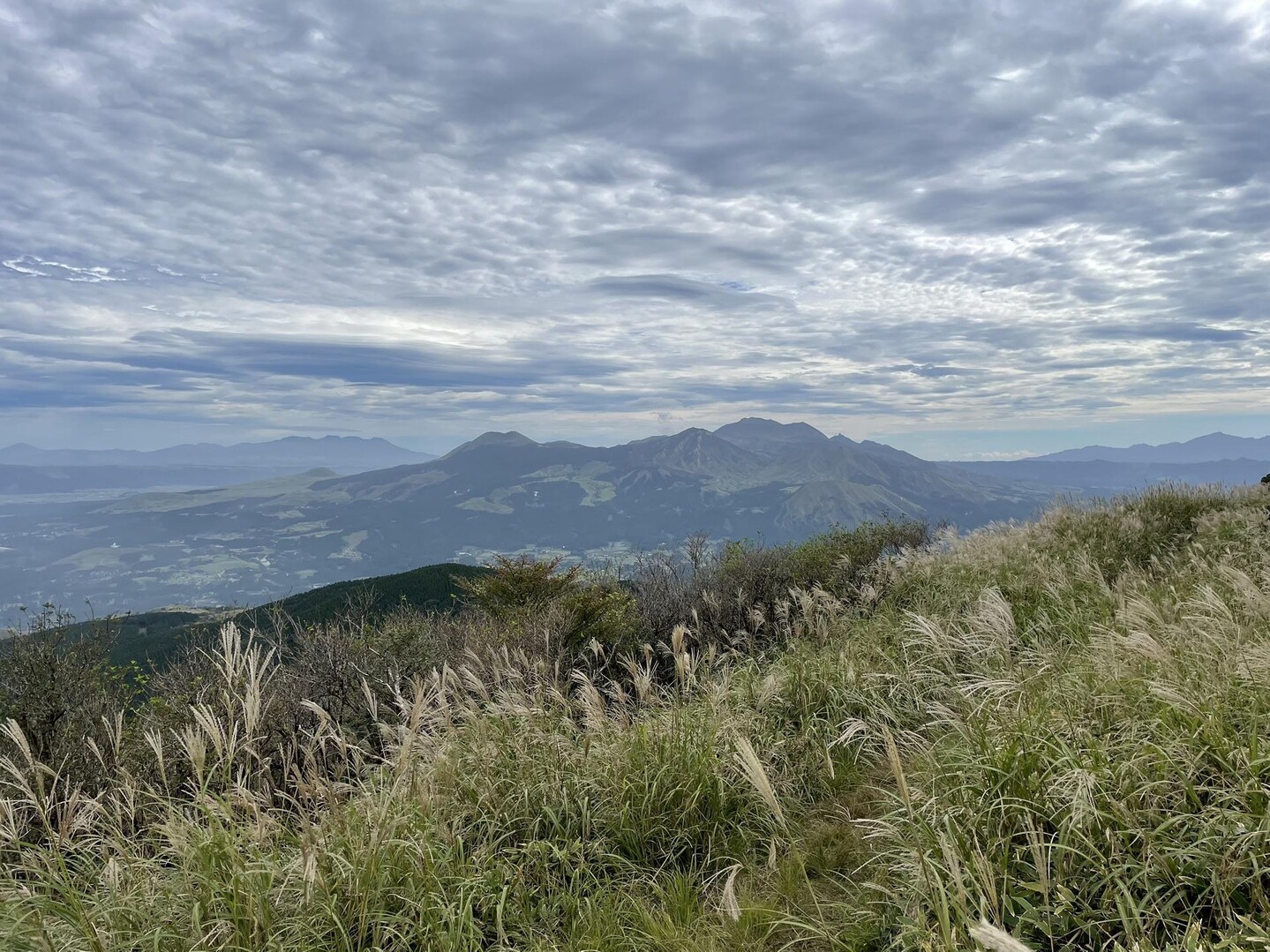 俵山 / kinjunさんの俵山・冠ヶ岳・清栄山の活動データ | YAMAP / ヤマップ