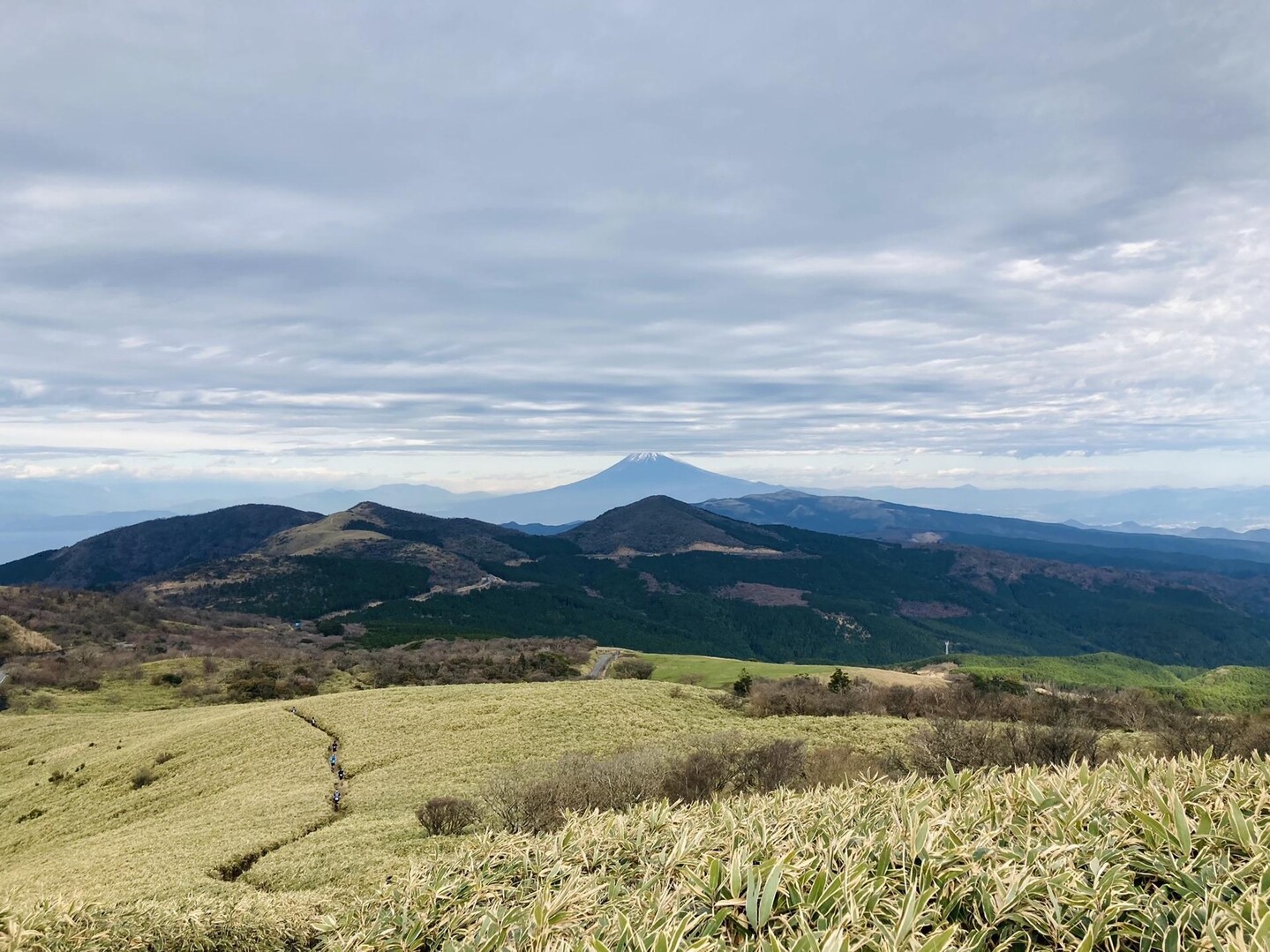ITJ 伊豆トレイルジャーニー2022 / Yamariさんの金冠山・達磨山・葛城山の活動データ | YAMAP / ヤマップ