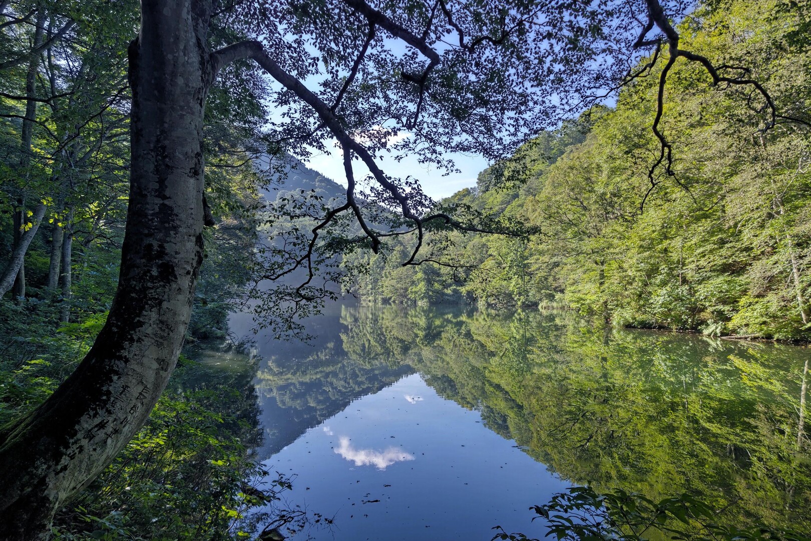 小さな奇跡の連続 / ikkoさんの守門岳・大岳・網張山の活動日記 | YAMAP / ヤマップ