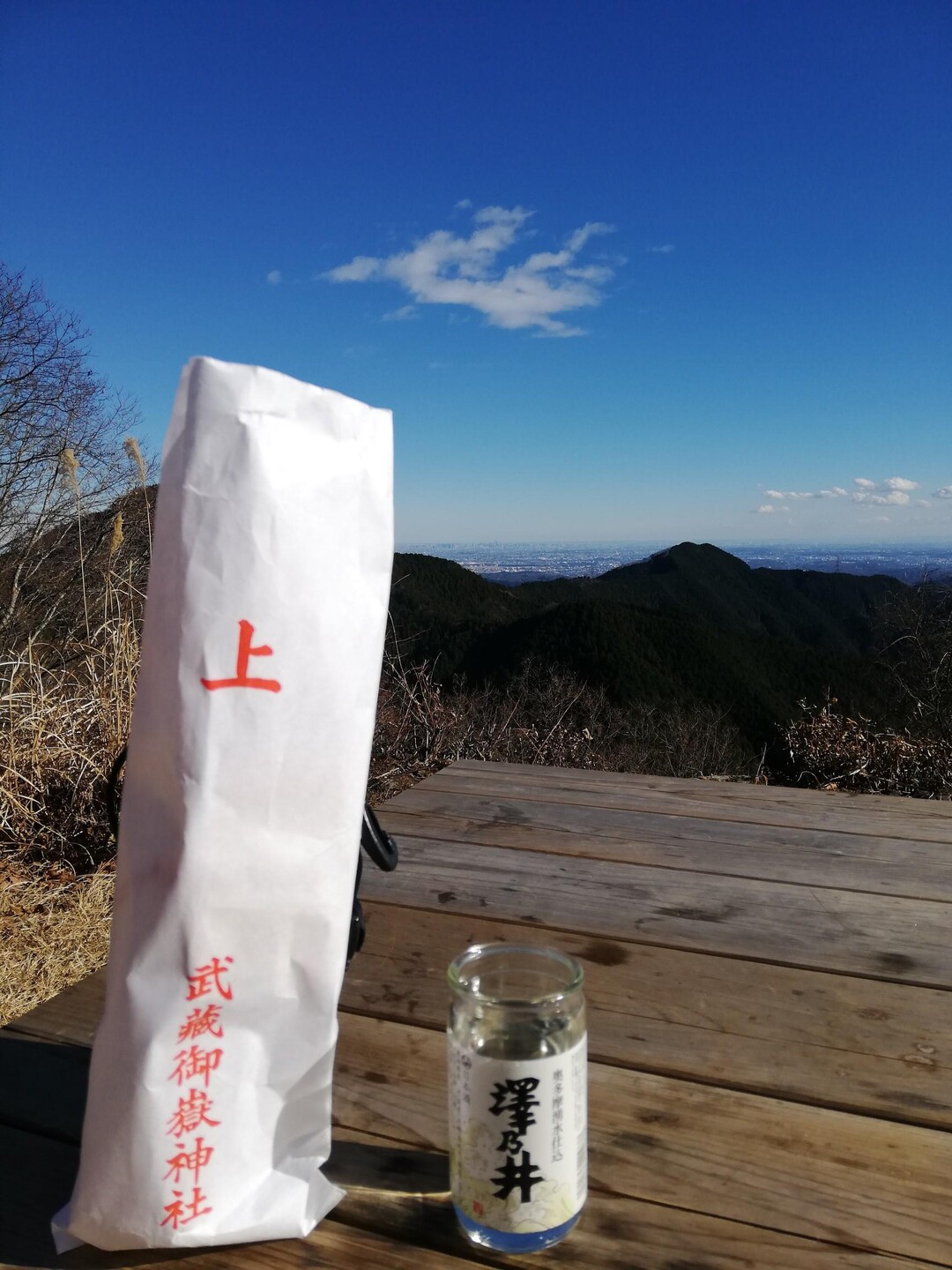 大名子ノ頭・高岩山・上高岩山・御岳山 / j_nabe さんの大岳山・御岳山・御前山の活動データ | YAMAP / ヤマップ