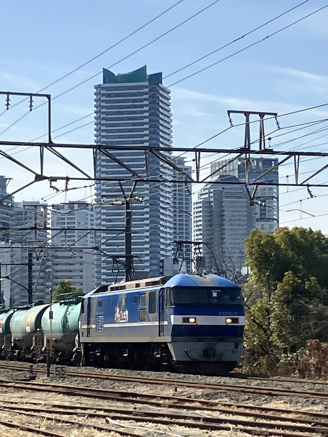 初 🚌️🍱横浜市中央卸売市場本場とEF210-2「桃太郎」と🍱💯 / 横浜転勤いぶっきー23さんの横浜市 中央エリアの活動データ | YAMAP / ヤマップ
