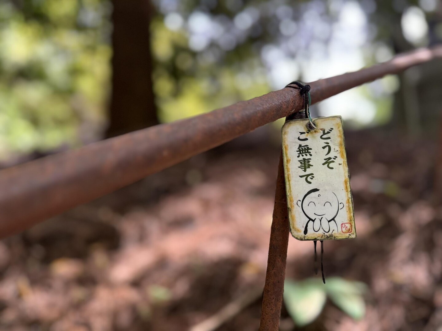 お接待の文化、同行二人を感じた一日。 / Hiton(￣3￣)!さんの四国遍路その1の活動データ | YAMAP / ヤマップ