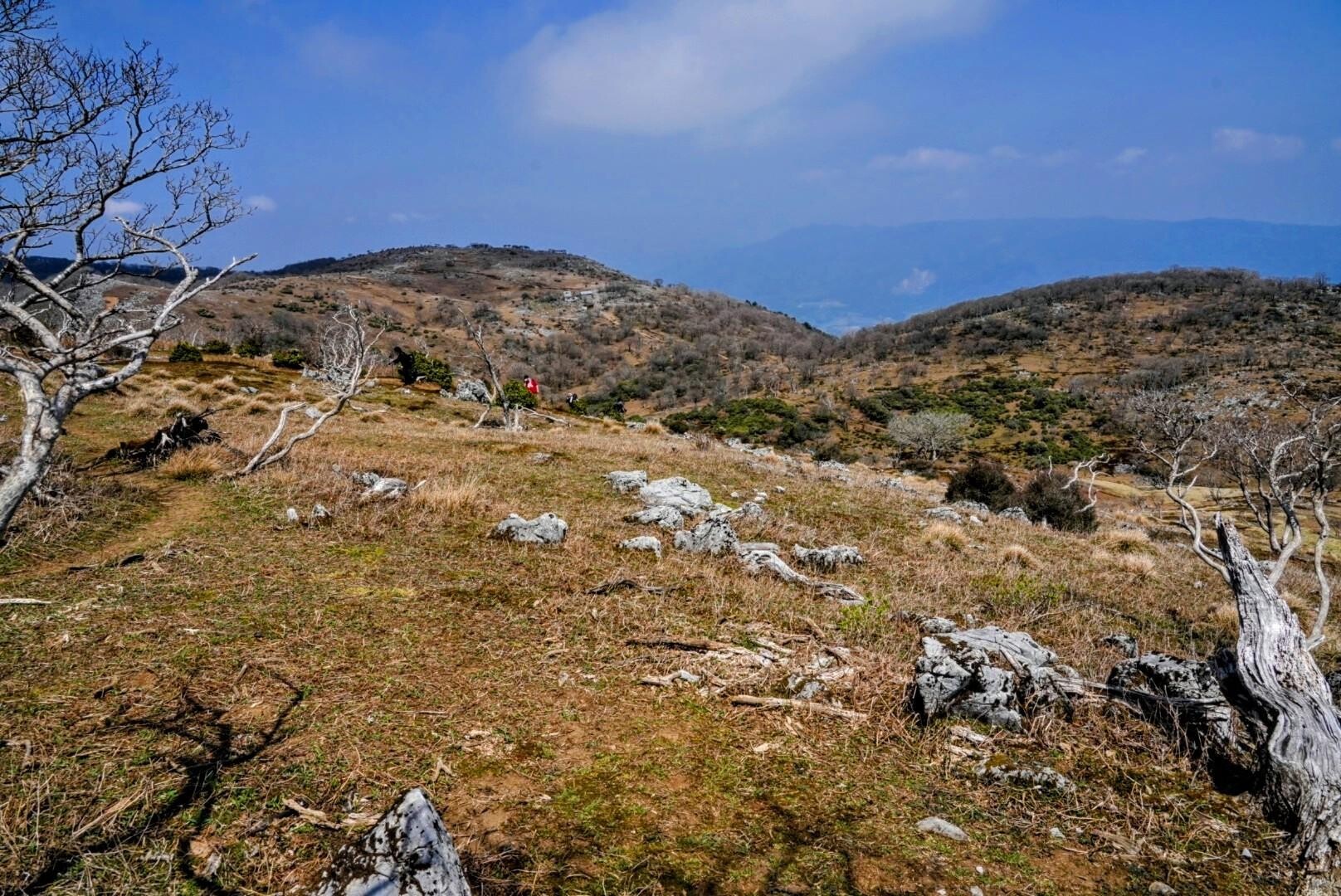 孫太尾根で藤原岳 / yanagingさんの藤原岳・御池岳の活動データ | YAMAP / ヤマップ