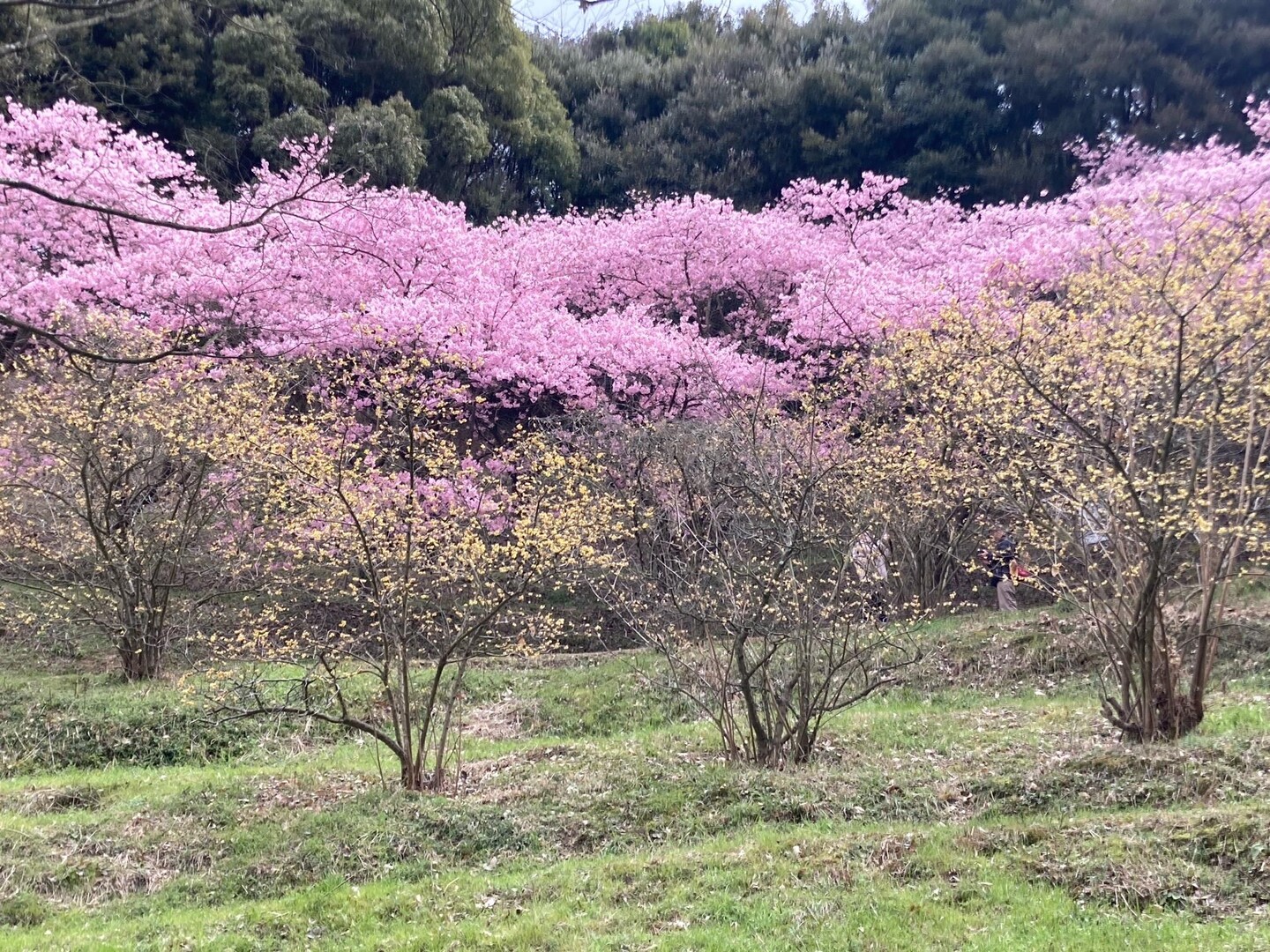 2024.03.02(土) 04:26 / あきちゃんさんのモーメント | YAMAP / ヤマップ