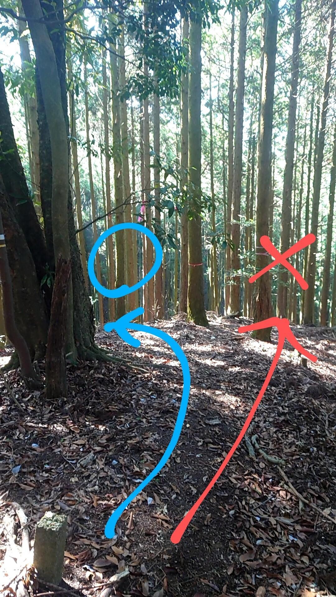 Chieさんの投稿したフィールドメモ | YAMAP / ヤマップ