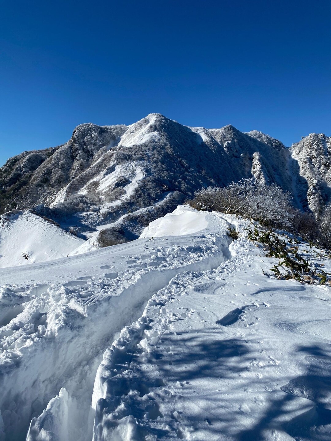 新雪の伊予富士 / 浜のトレッカーHOさんの瓶ヶ森・伊予富士の活動データ | YAMAP / ヤマップ