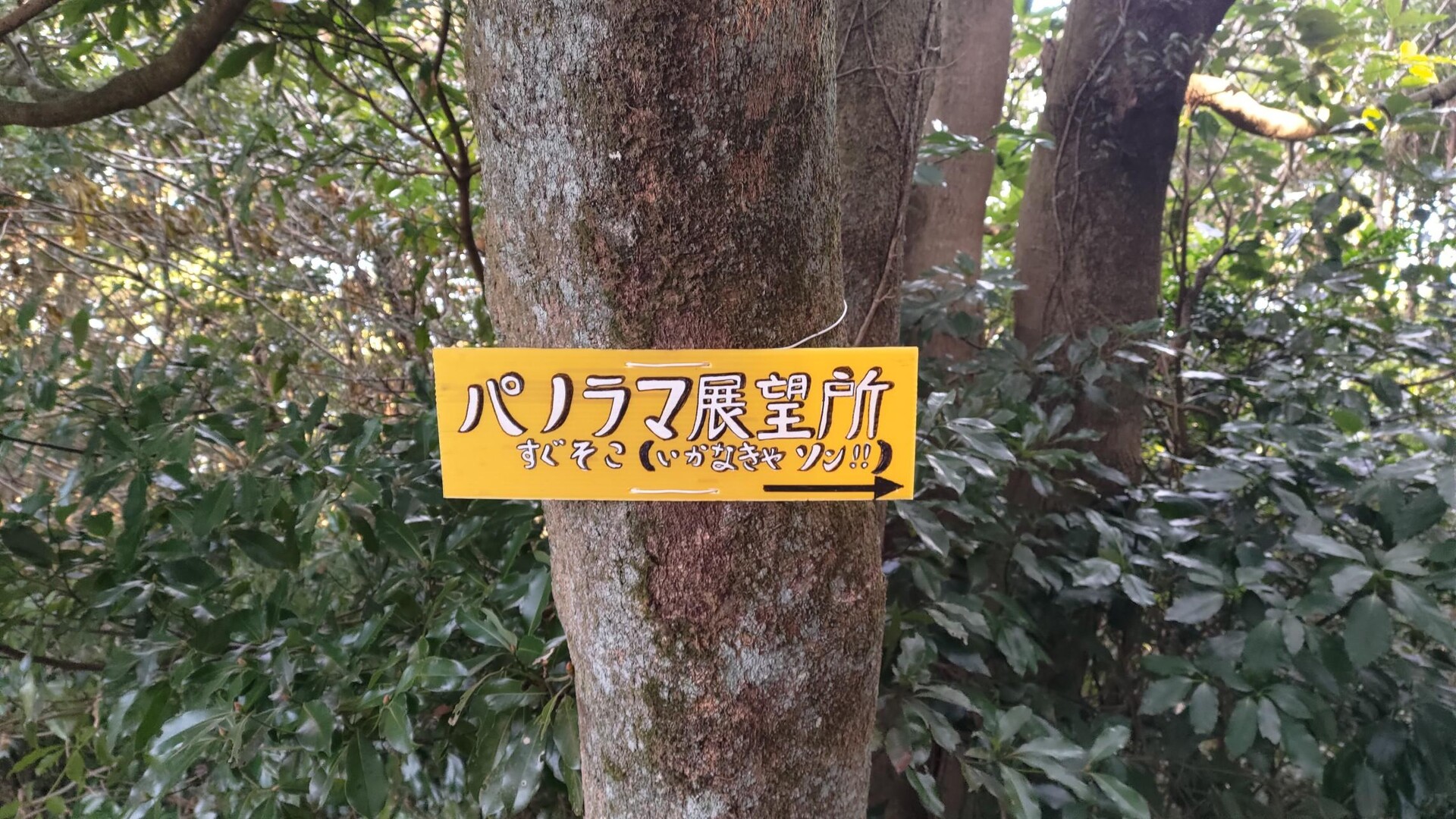 宗像四塚縦走 湯川山から城山 / anto SSさんの湯川山・城山・孔大寺山の活動データ | YAMAP / ヤマップ