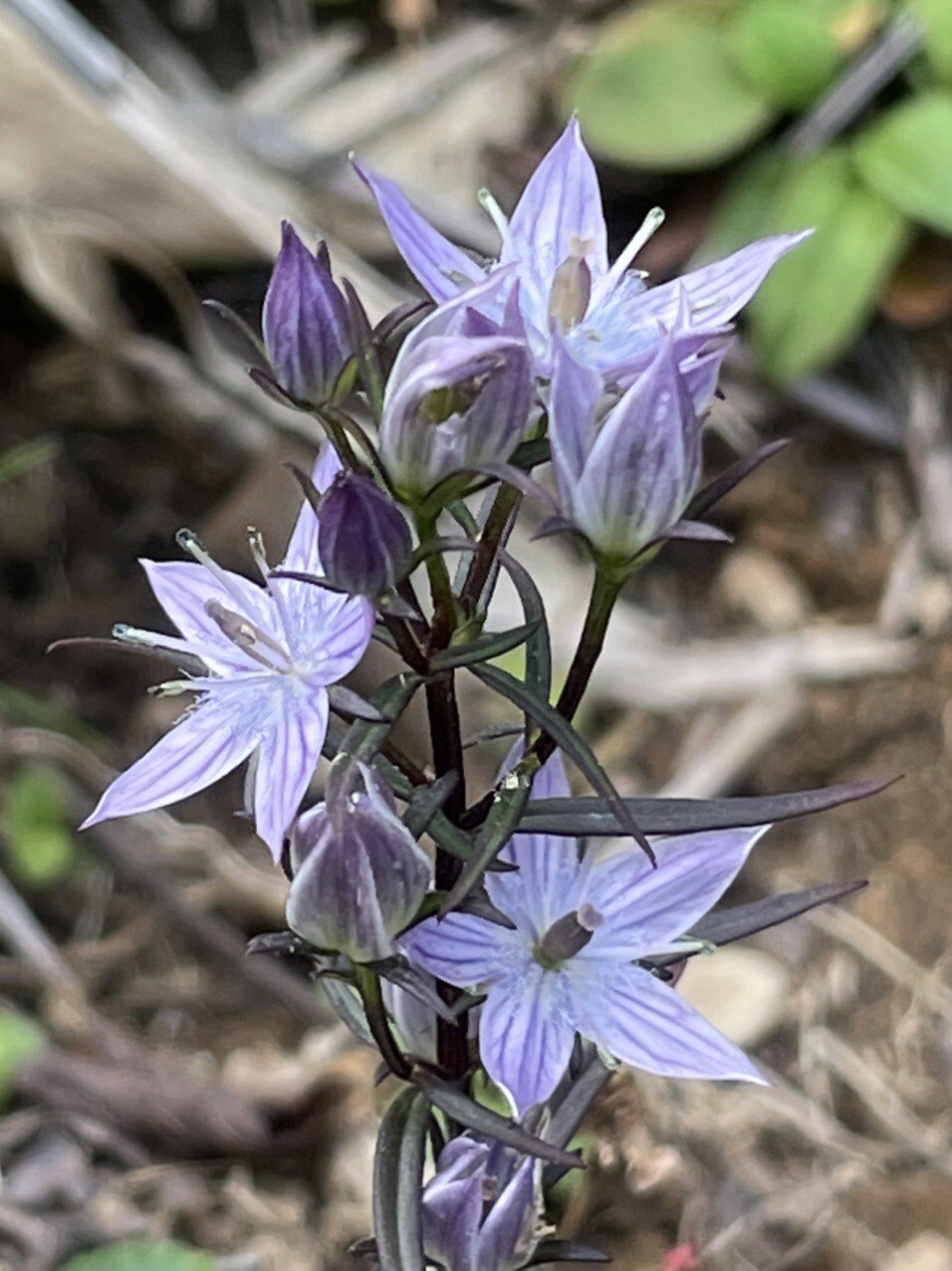 2021.10.01(金) 12:08 / あゆたろうさんのモーメント | YAMAP / ヤマップ