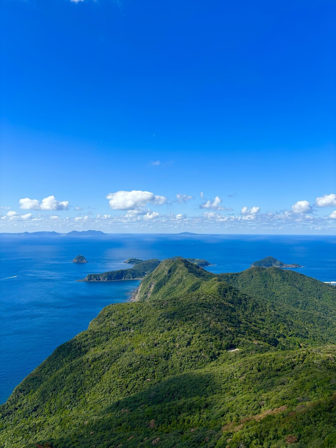 平戸の志々伎山でこれ見た時かなあ #山に... / Hiraku Endoさんのモーメント | YAMAP / ヤマップ
