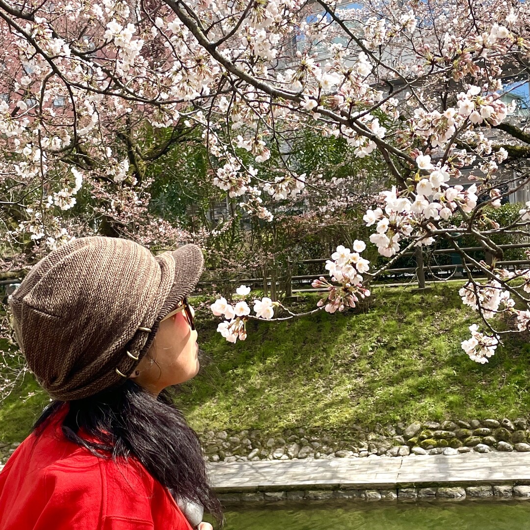 サクラ🌸咲いた♬ 〜Good day departure〜 / ビクトリアSさんのウォーキングの活動データ | YAMAP / ヤマップ