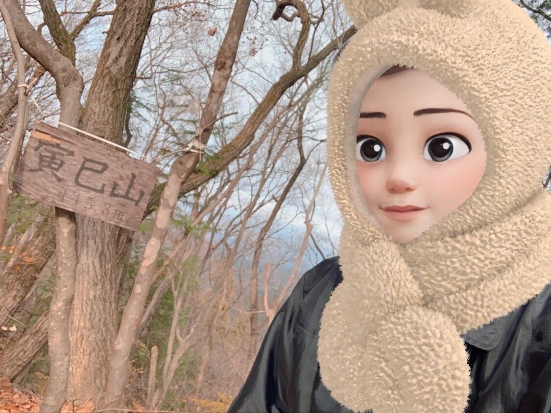 ①寅巳山 / しゅう🐰🪧さんの寅巳山の活動データ | YAMAP / ヤマップ