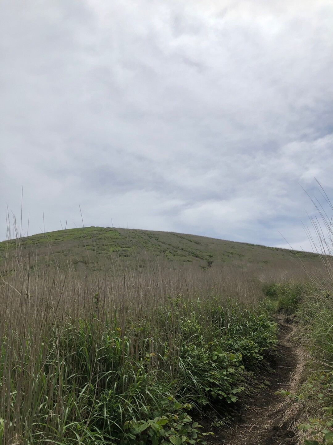 鉄砲木ノ頭(明神山) / ude-kingさんの三国山の活動データ | YAMAP / ヤマップ