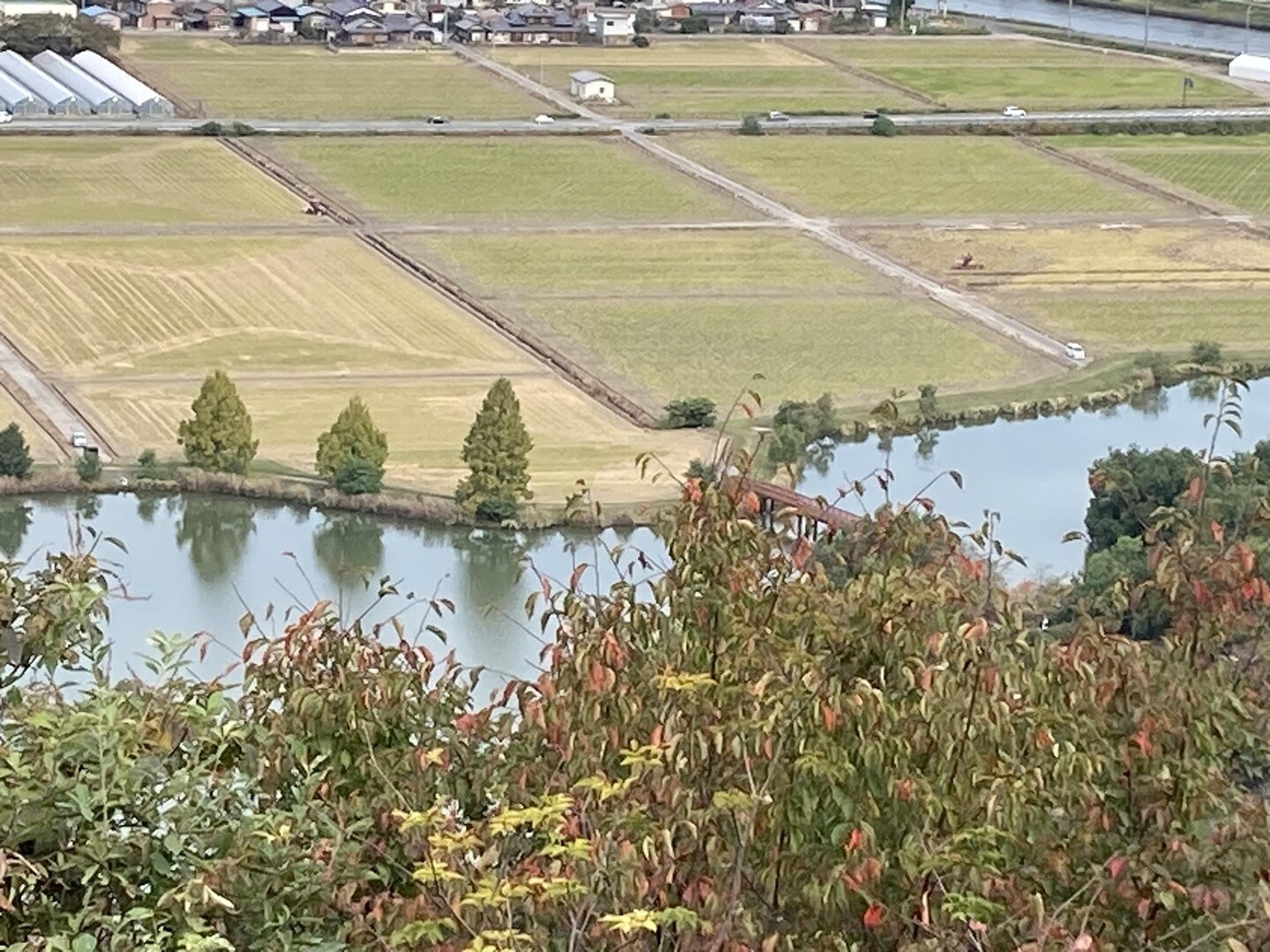 山歩 荒神山 狸木段を上がり 展望台か... / AOさんのモーメント | YAMAP / ヤマップ