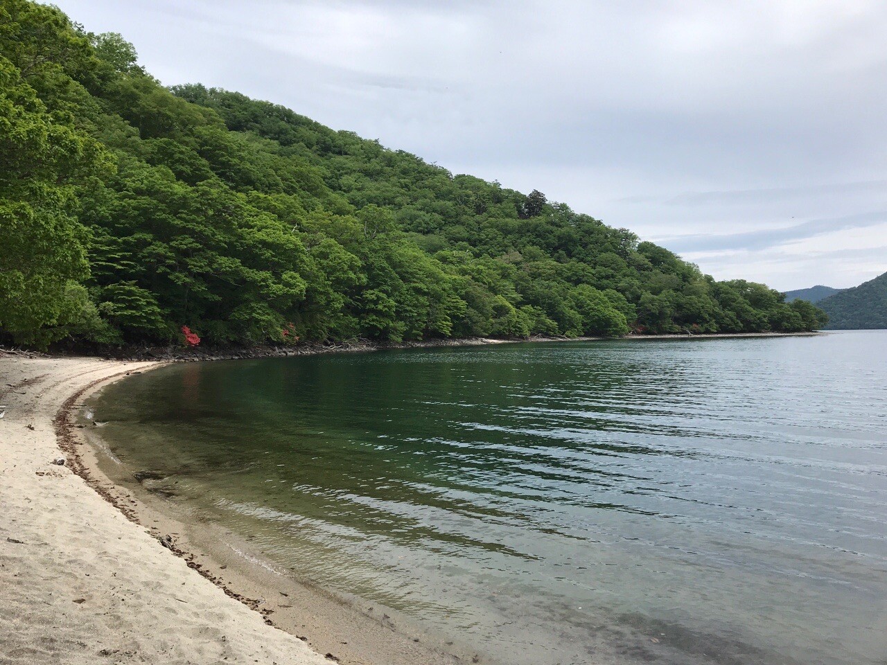 aoi-stepさんの投稿したフィールドメモ | YAMAP / ヤマップ