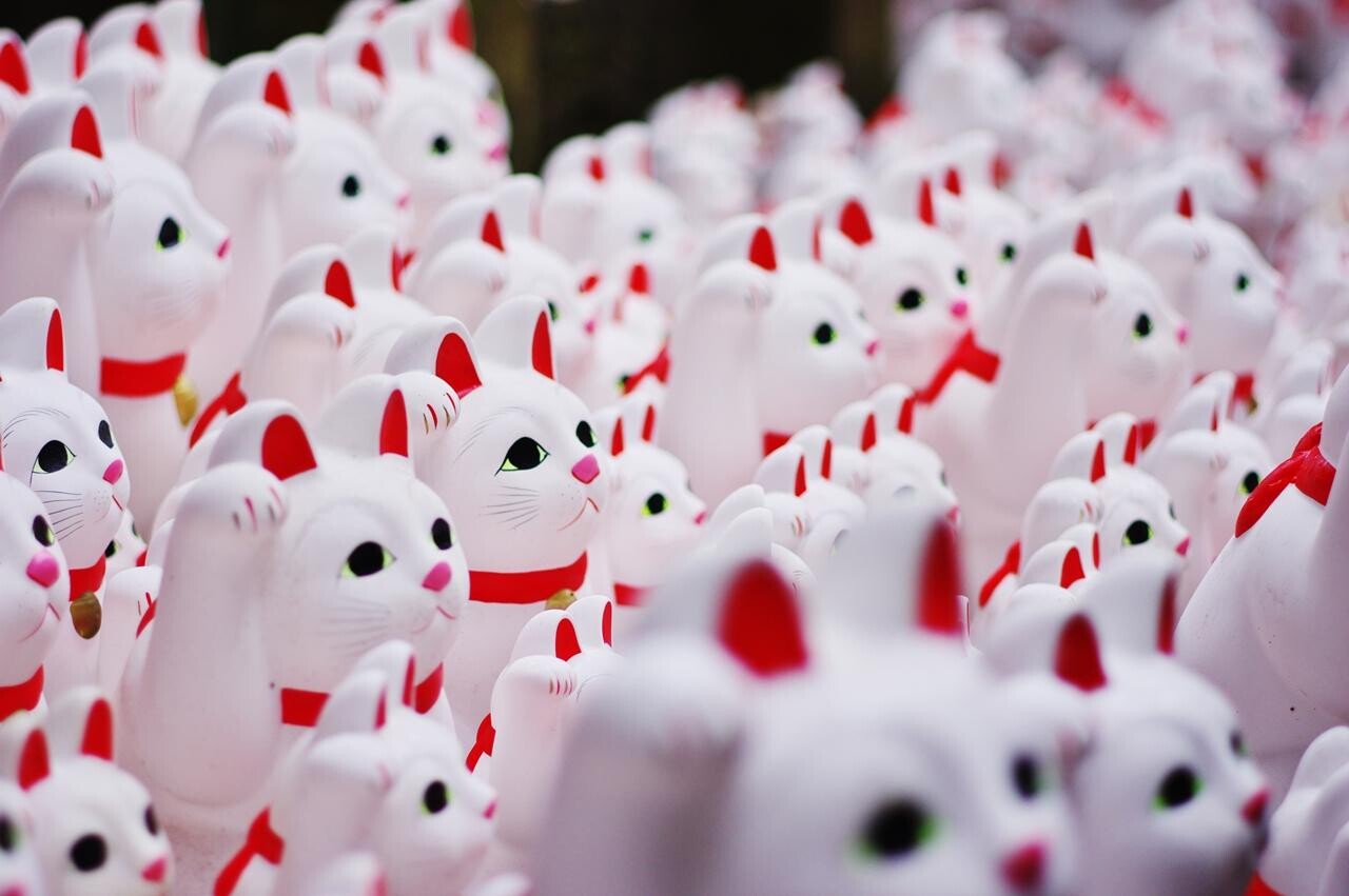 街中ランニング-2024-02-19 / ichiさんのランニングの活動データ | YAMAP / ヤマップ