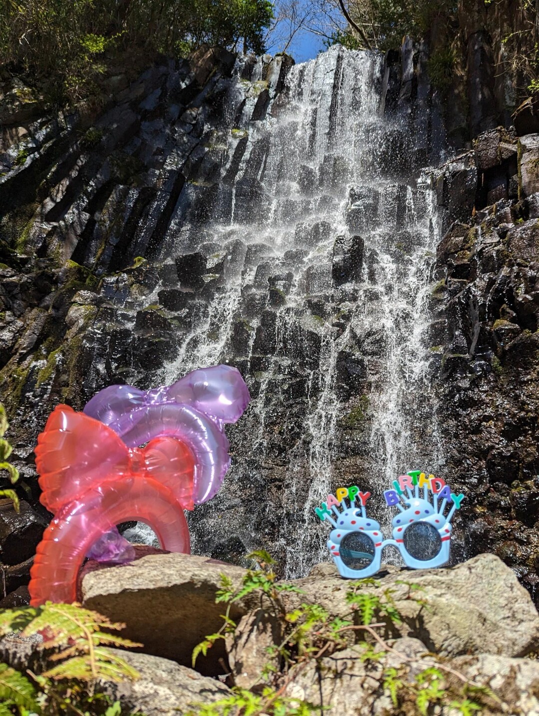 お楽しみは六方の滝で🥳幕山 / tontonさんの幕山・南郷山の活動データ | YAMAP / ヤマップ