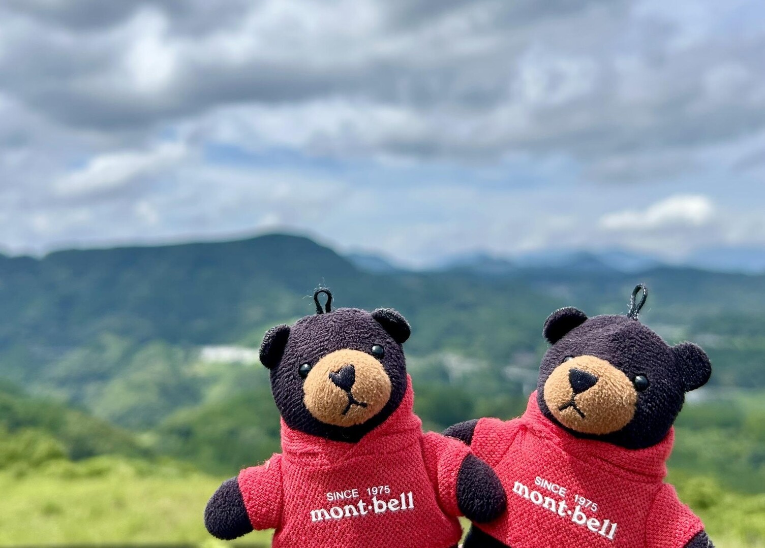 オモシロ山でした(o´罒`o)貝殻岳 / datinさんの鎧ヶ岳の活動データ | YAMAP / ヤマップ