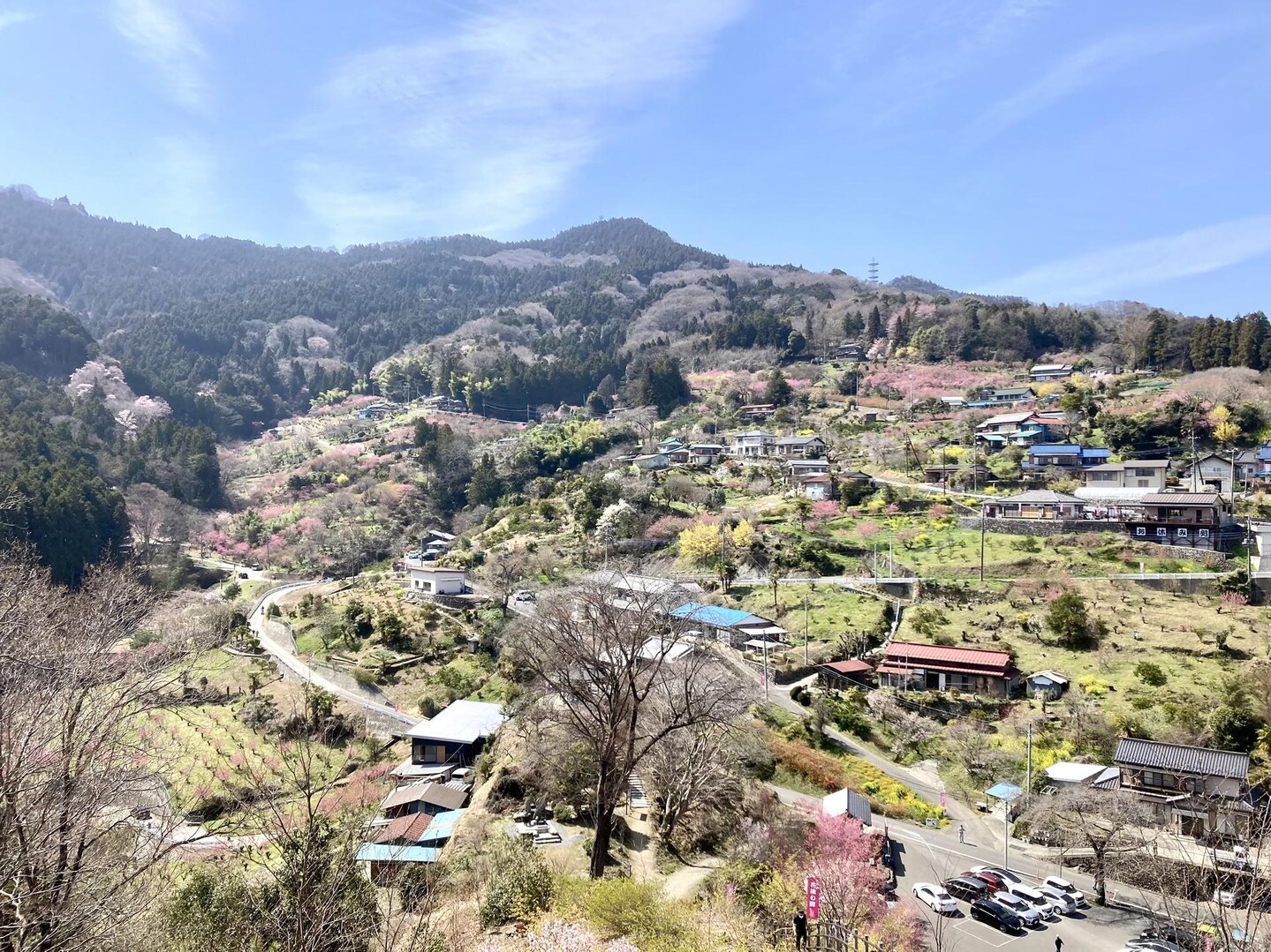 東秩父🌸花桃の郷 大内山・登谷山・皇鈴山・釜伏山 / Ozanさんの堂平山・笠山（乳房山）・大霧山の活動データ | YAMAP / ヤマップ