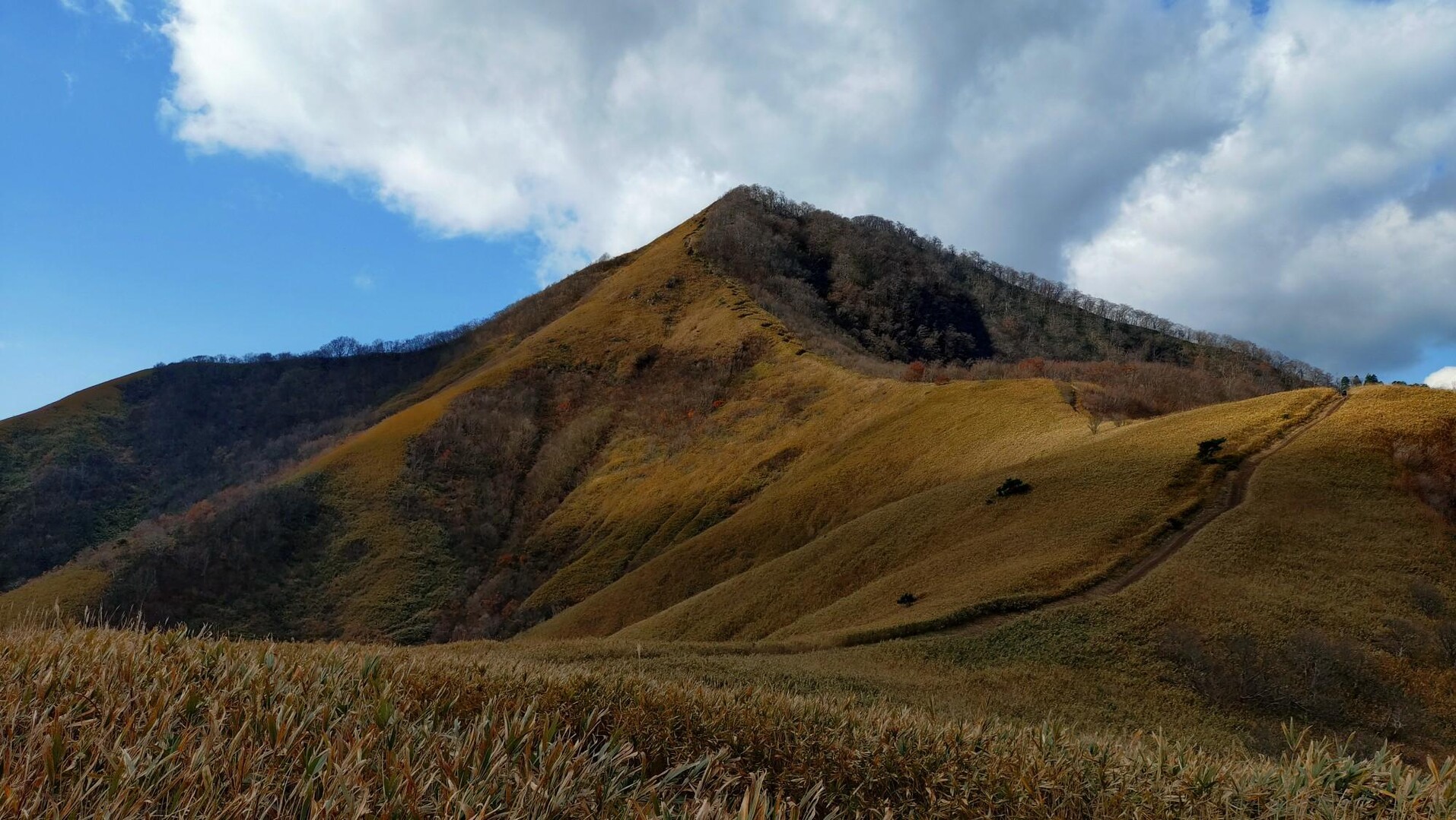 SGクラブ第4弾 下蒜山 / ctcさんの蒜山の活動データ | YAMAP / ヤマップ