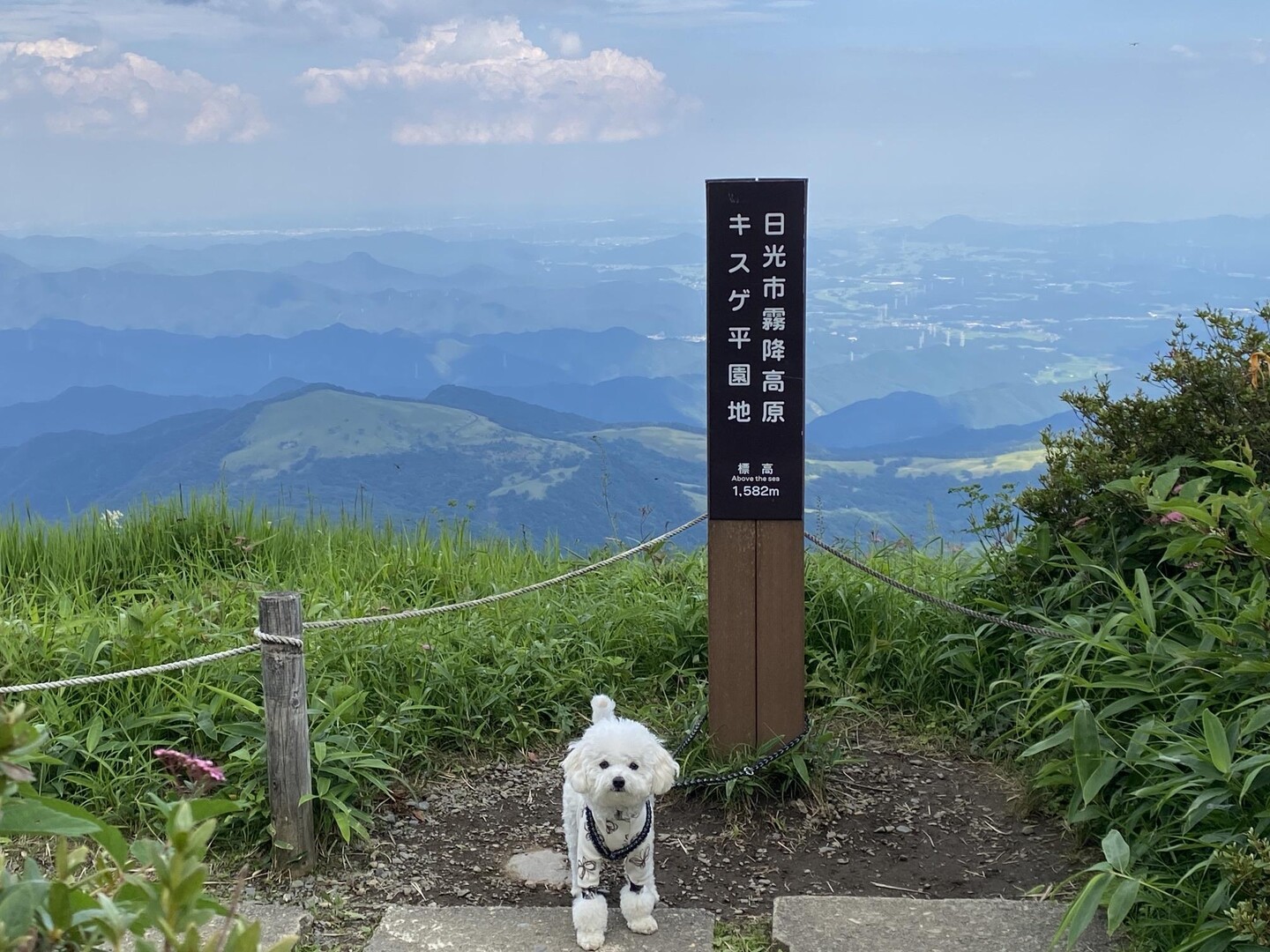娘とワンコ🐶とハイキング〜👍 / mayuminさんの女峰山・赤薙山・大真名子山の活動データ | YAMAP / ヤマップ