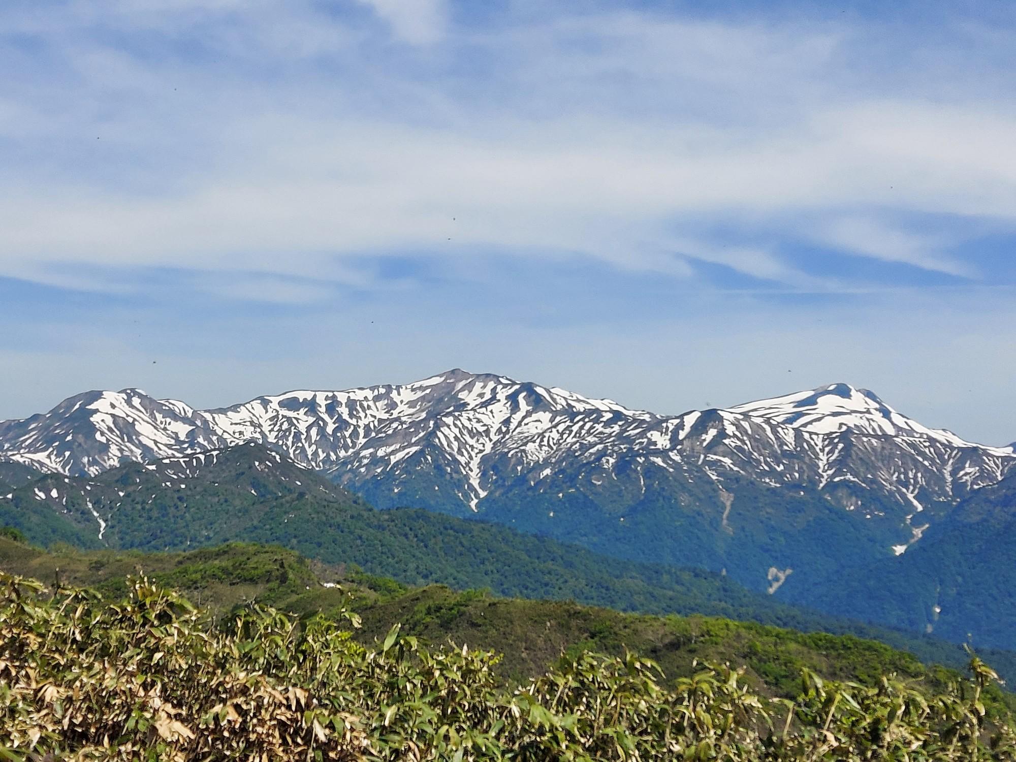 6/7やっぱり大日ヶ岳へ / Ikuさんの大日ヶ岳・毘沙門岳の活動データ | YAMAP / ヤマップ